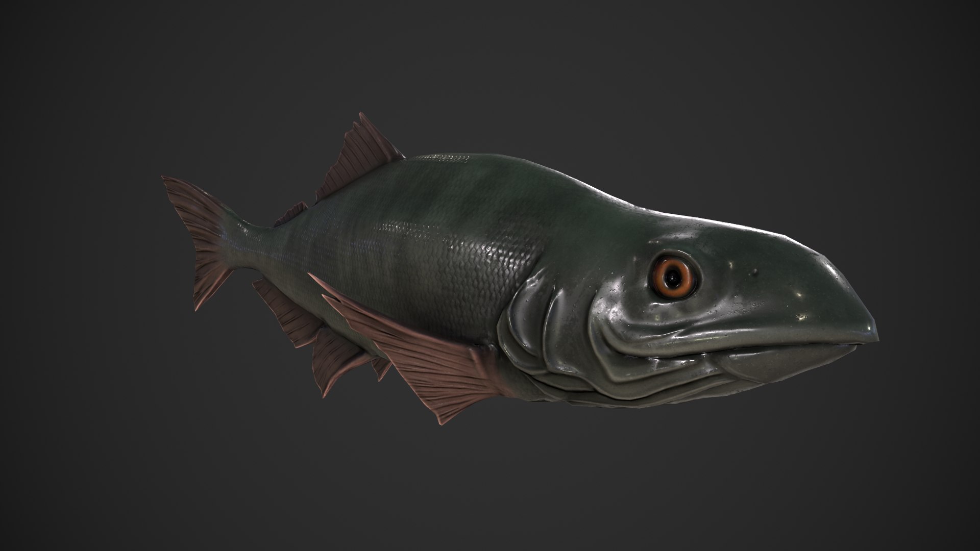 3D Freshwater Fish - TurboSquid 1962490