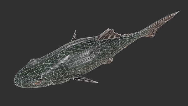 Freshwater Fish3D模型 - TurboSquid 1962490