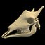 3d Animal Skull Model
