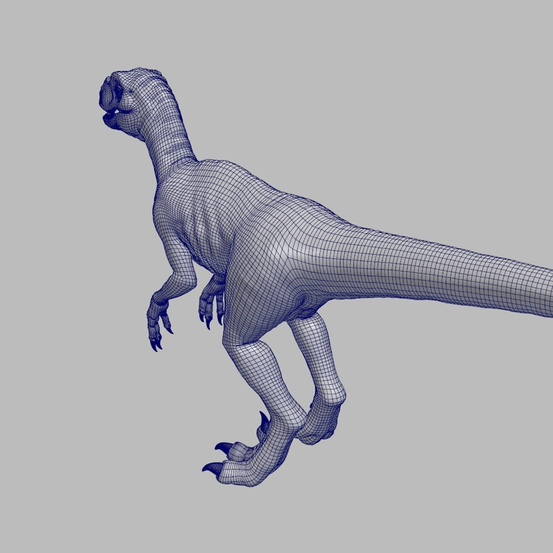 Raptor rigged 3D model - TurboSquid 1616270