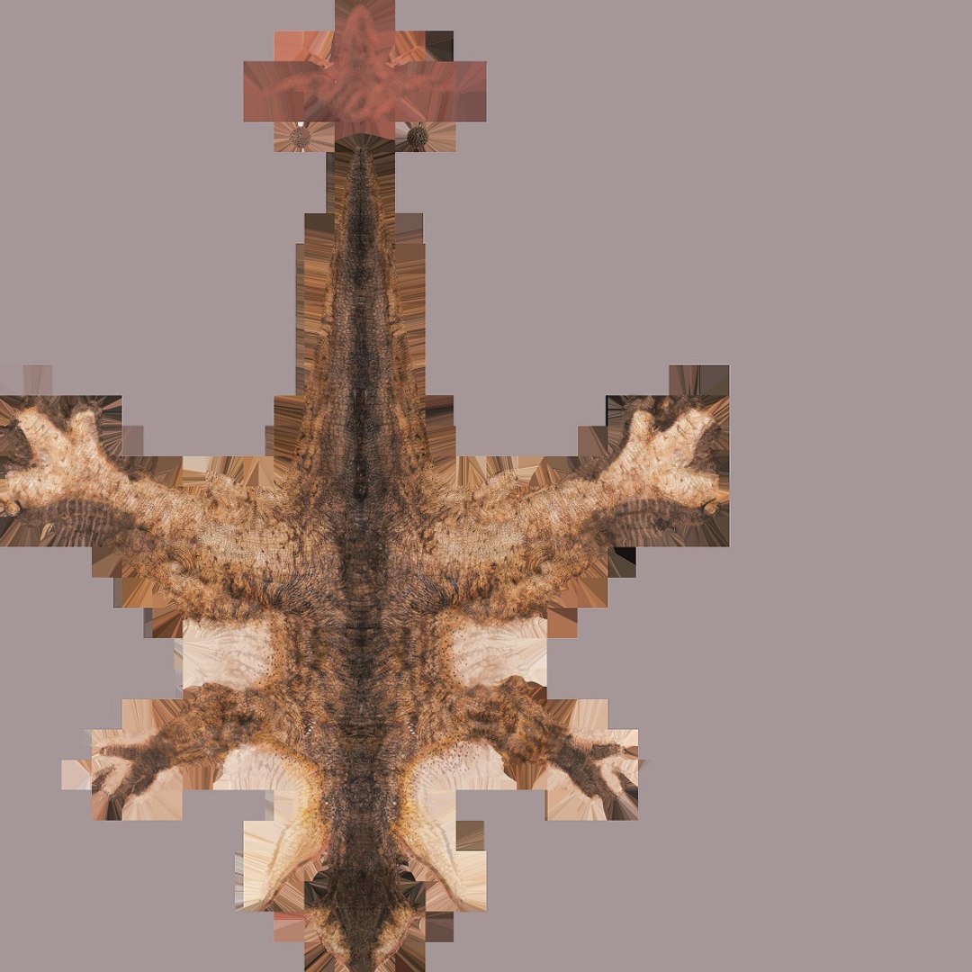 Raptor rigged 3D model - TurboSquid 1616270