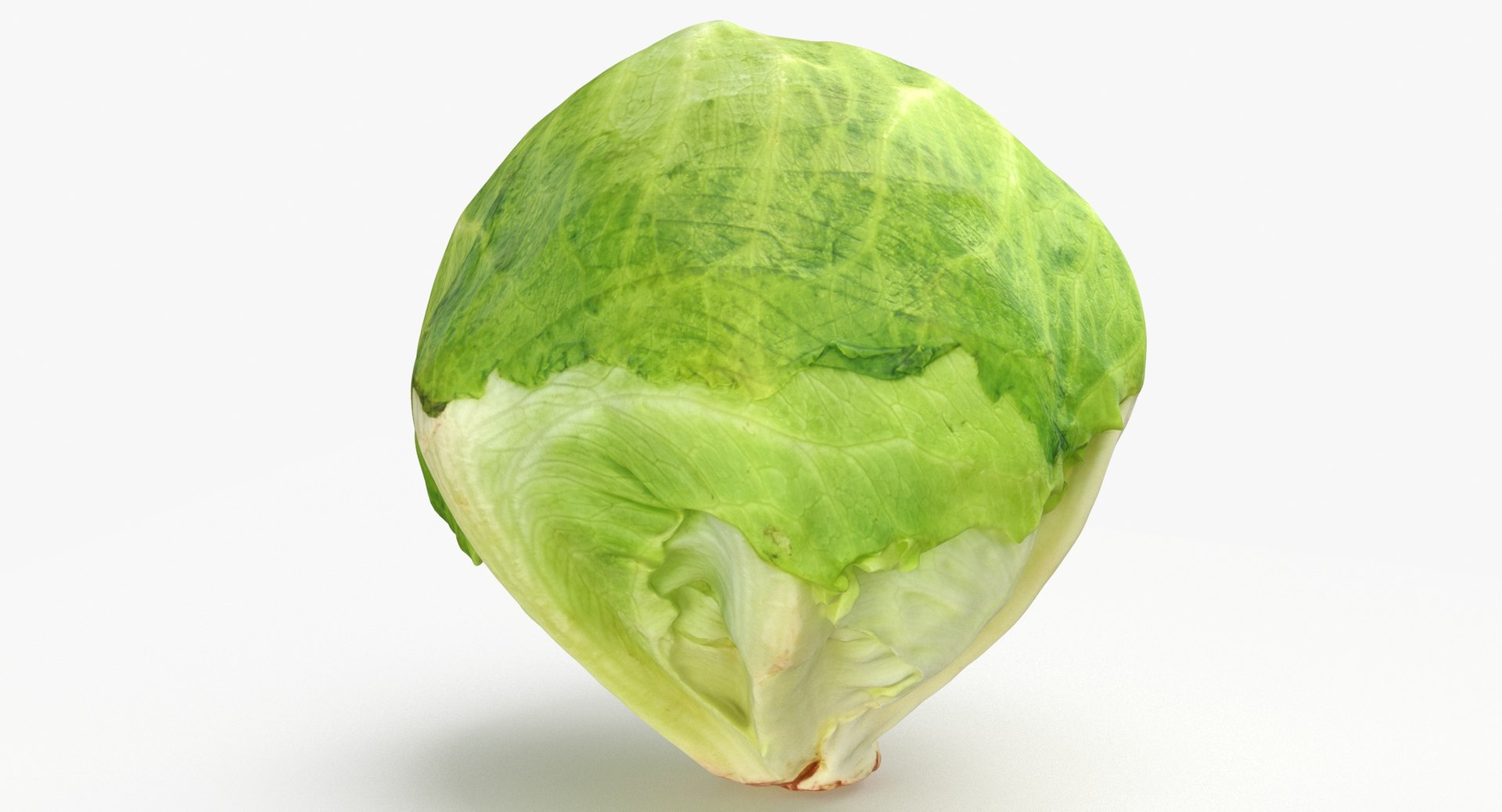 Lettuce 03 3D Model - TurboSquid 1841730