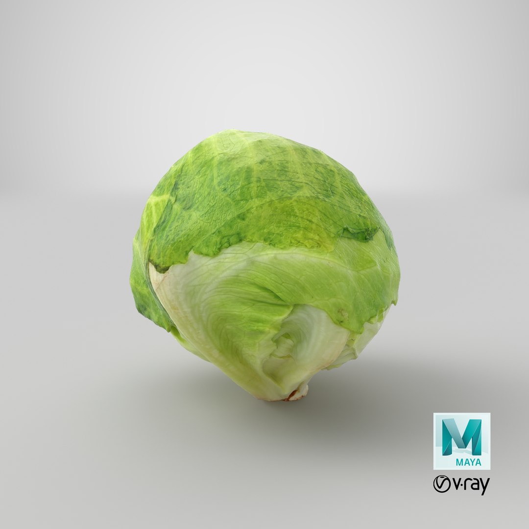 Lettuce 03 3D Model - TurboSquid 1841730