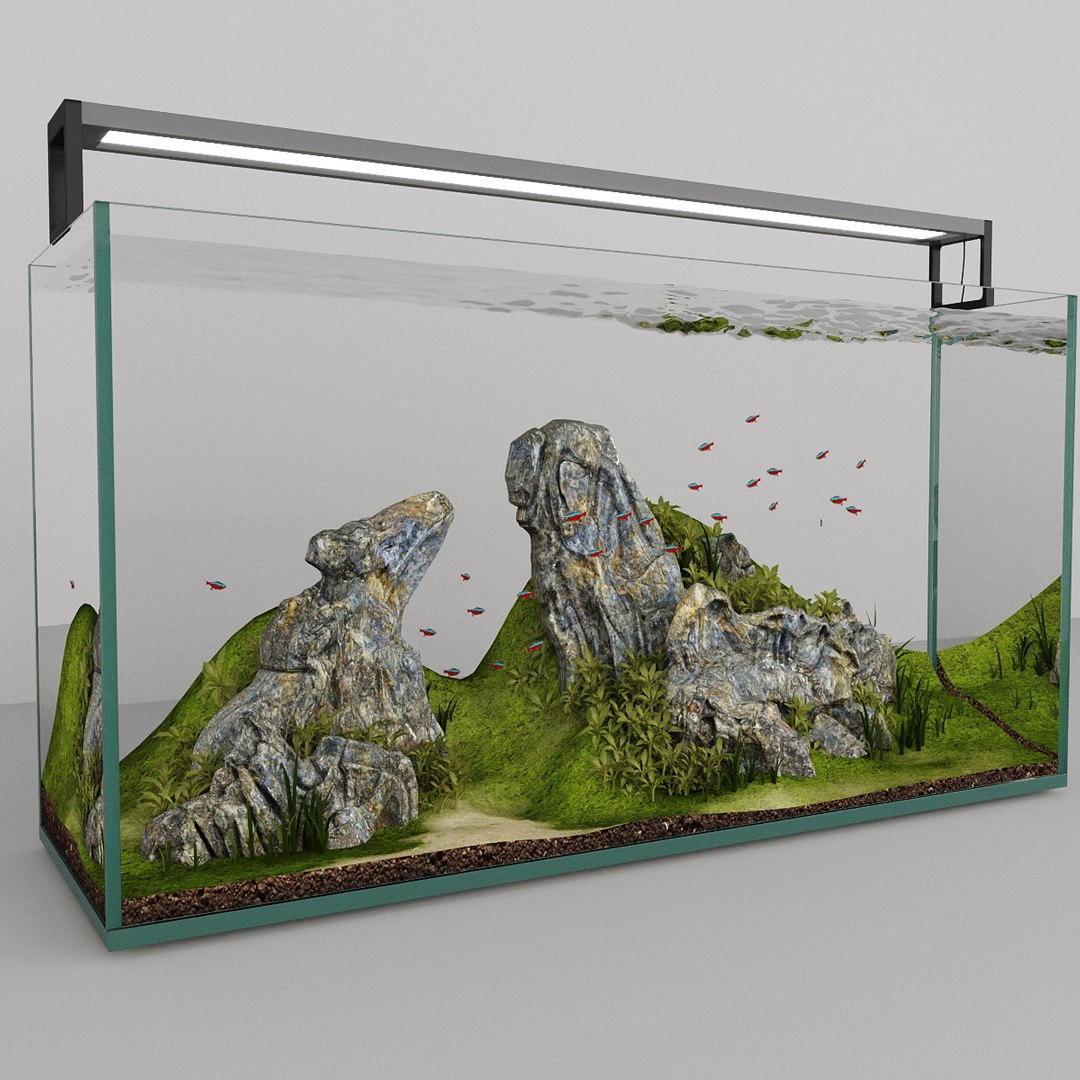 Aquarium 3D Model - TurboSquid 2104392