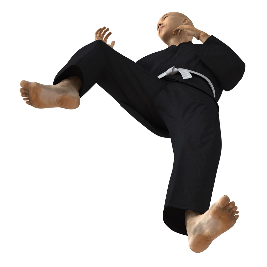 japanese karate fighter black 3d model