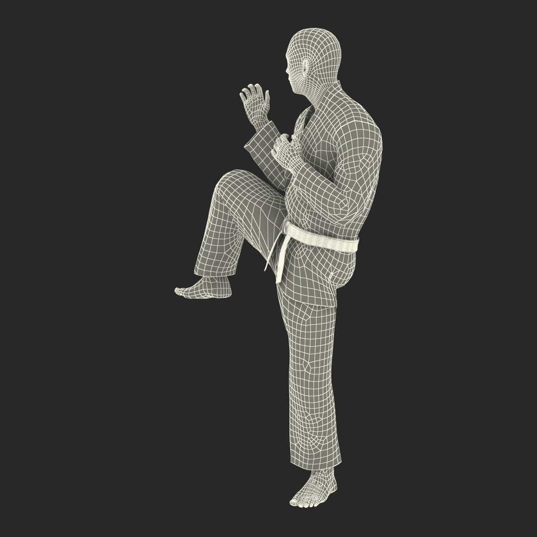 Japanese Karate Fighter Black 3d Model