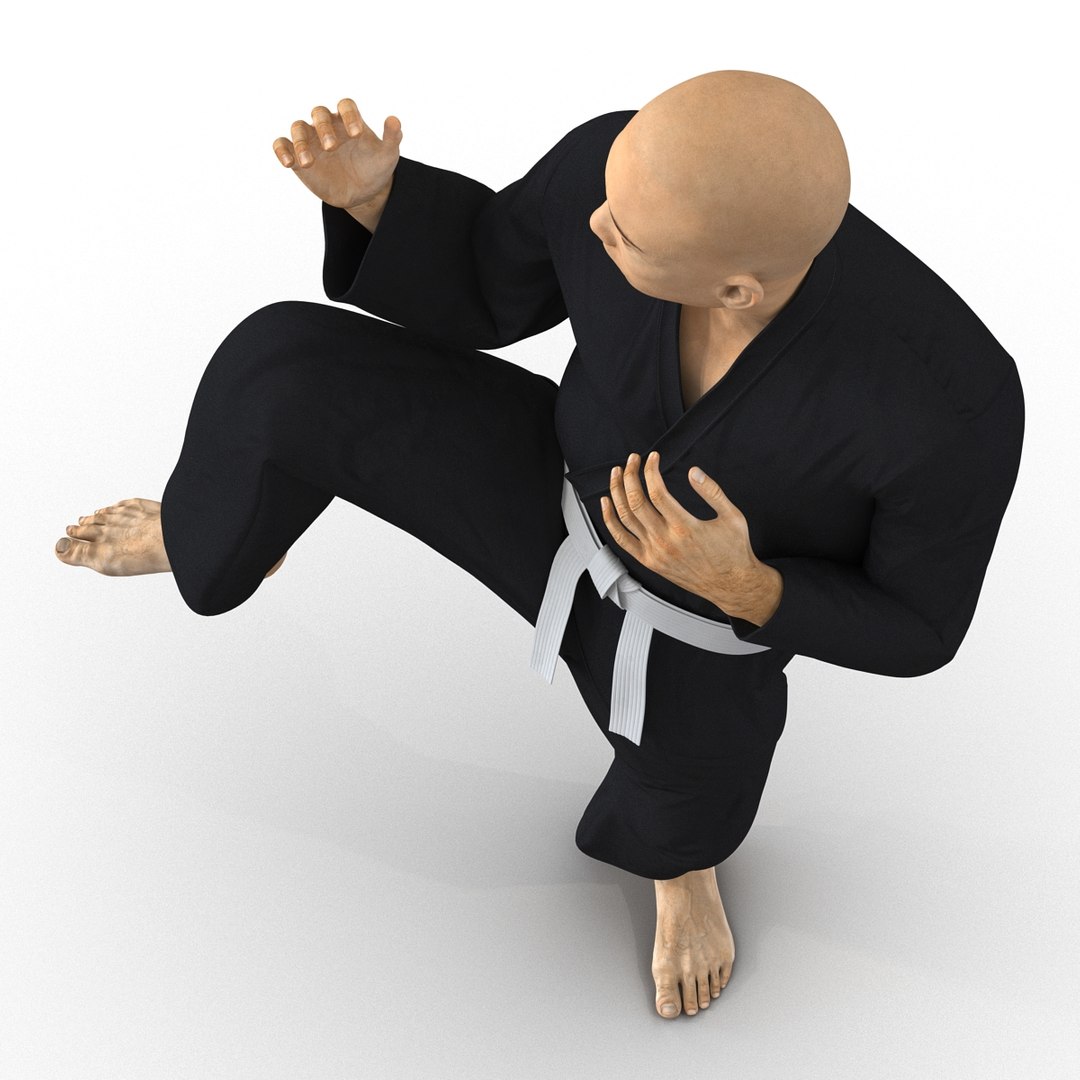 japanese karate fighter black 3d model