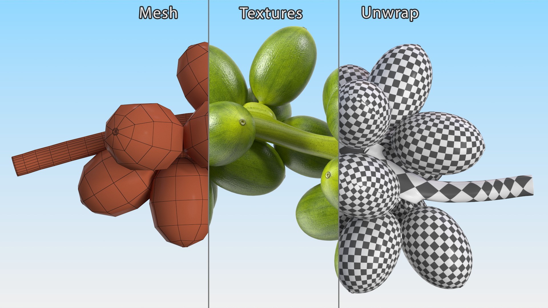 3D Bunch Of Fresh Green Coffee Beans Model - TurboSquid 2208638