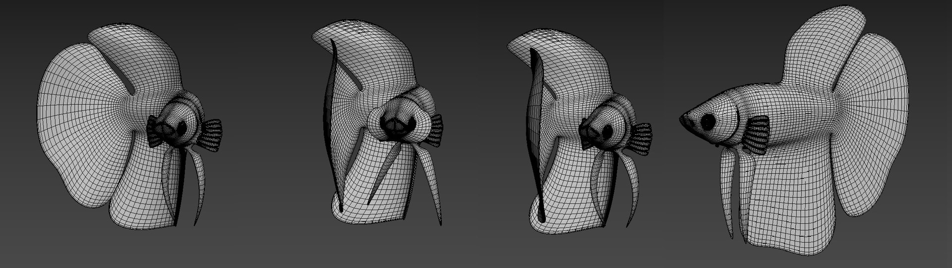 Clown Betta Fish 3D Model - TurboSquid 1473466