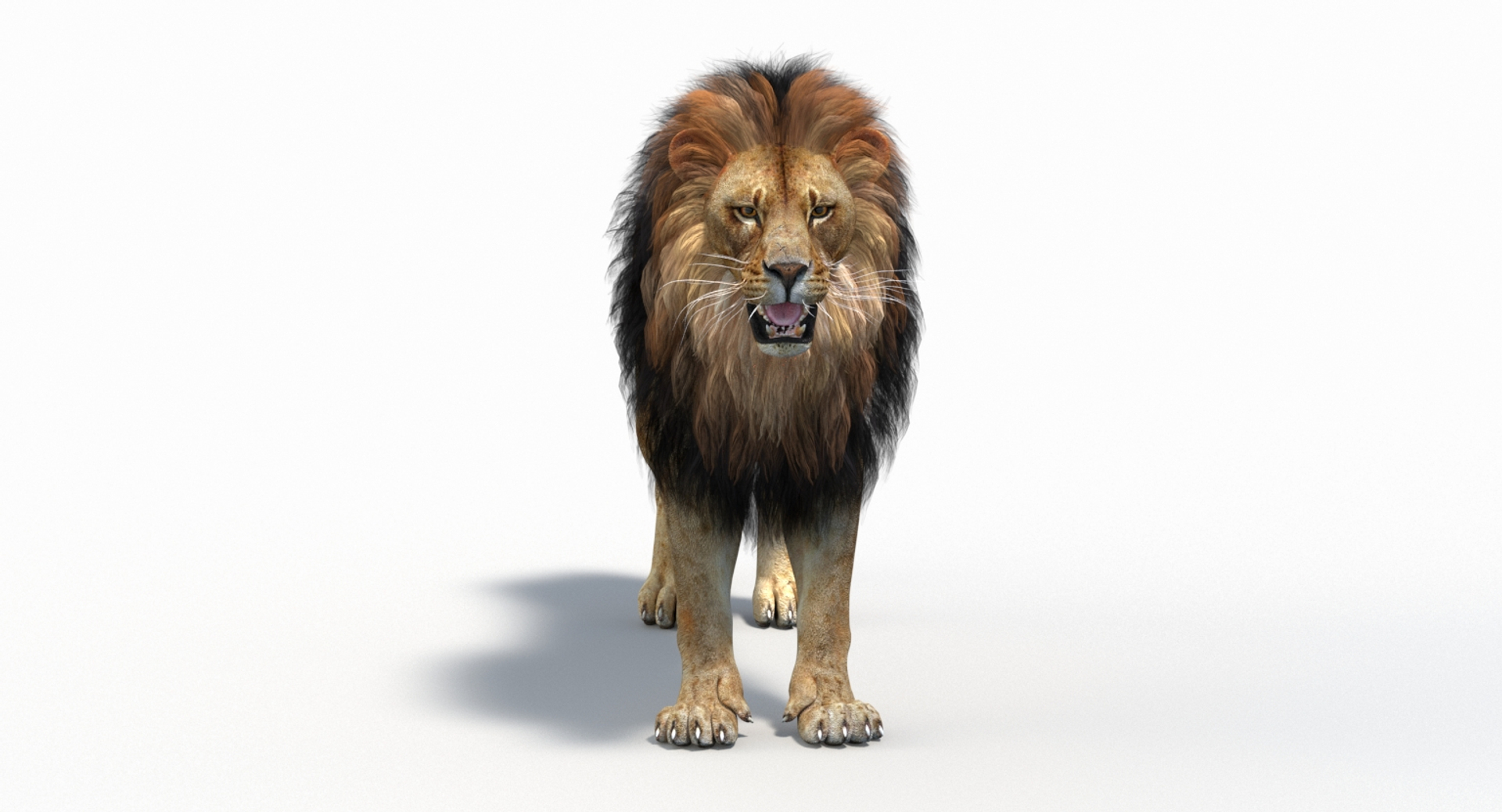 Lion 2 Rigged Polygonal 3D Model - TurboSquid 1377145