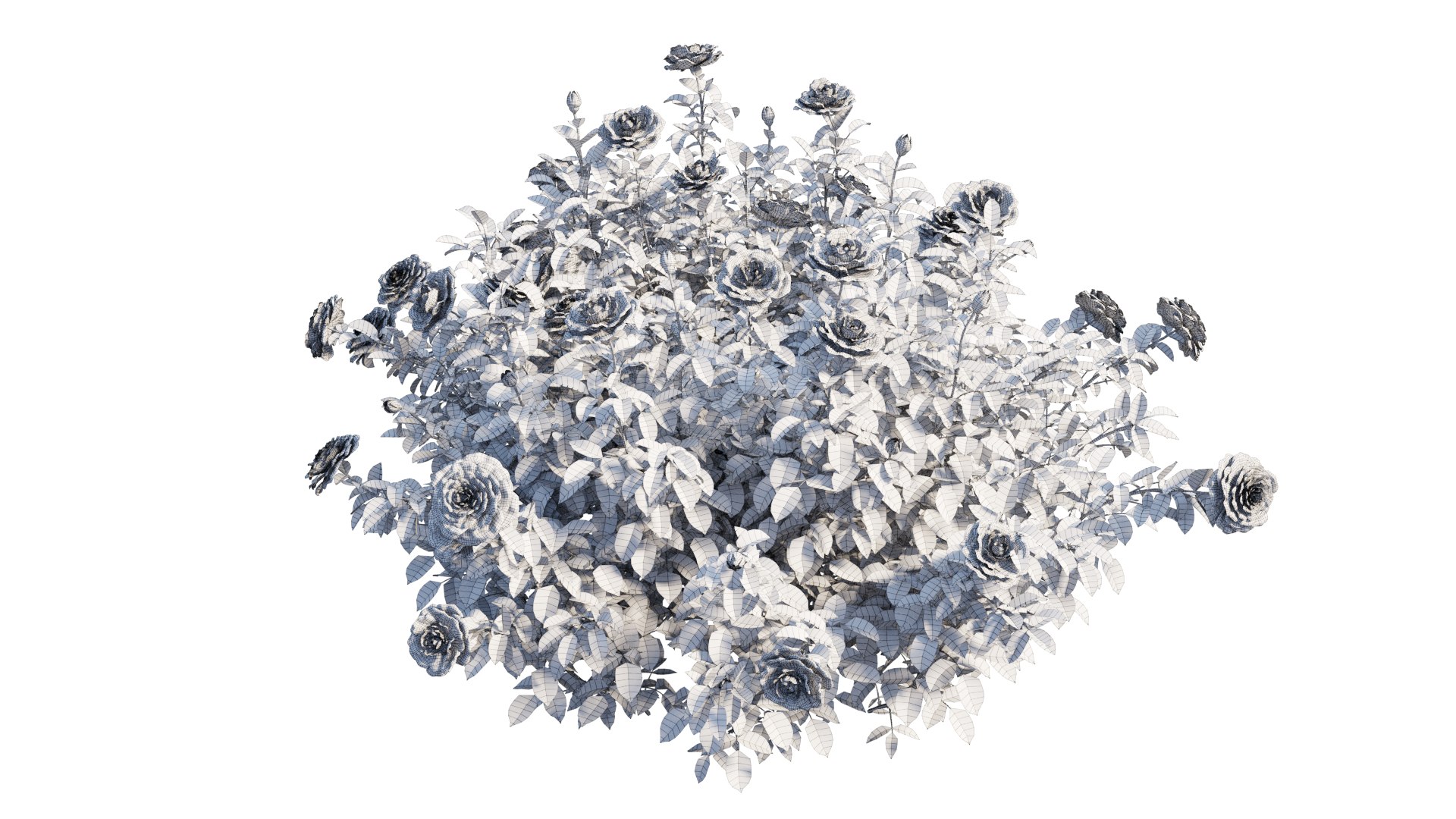 3D Rose Plant Set 53 Set 02 - TurboSquid 1728247