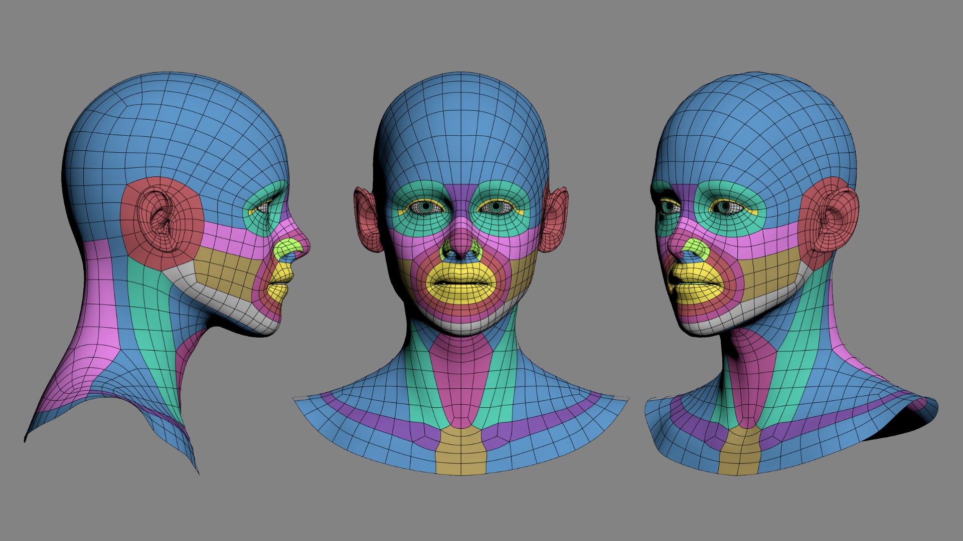 3D Model Head Human Base Mesh - TurboSquid 1567561