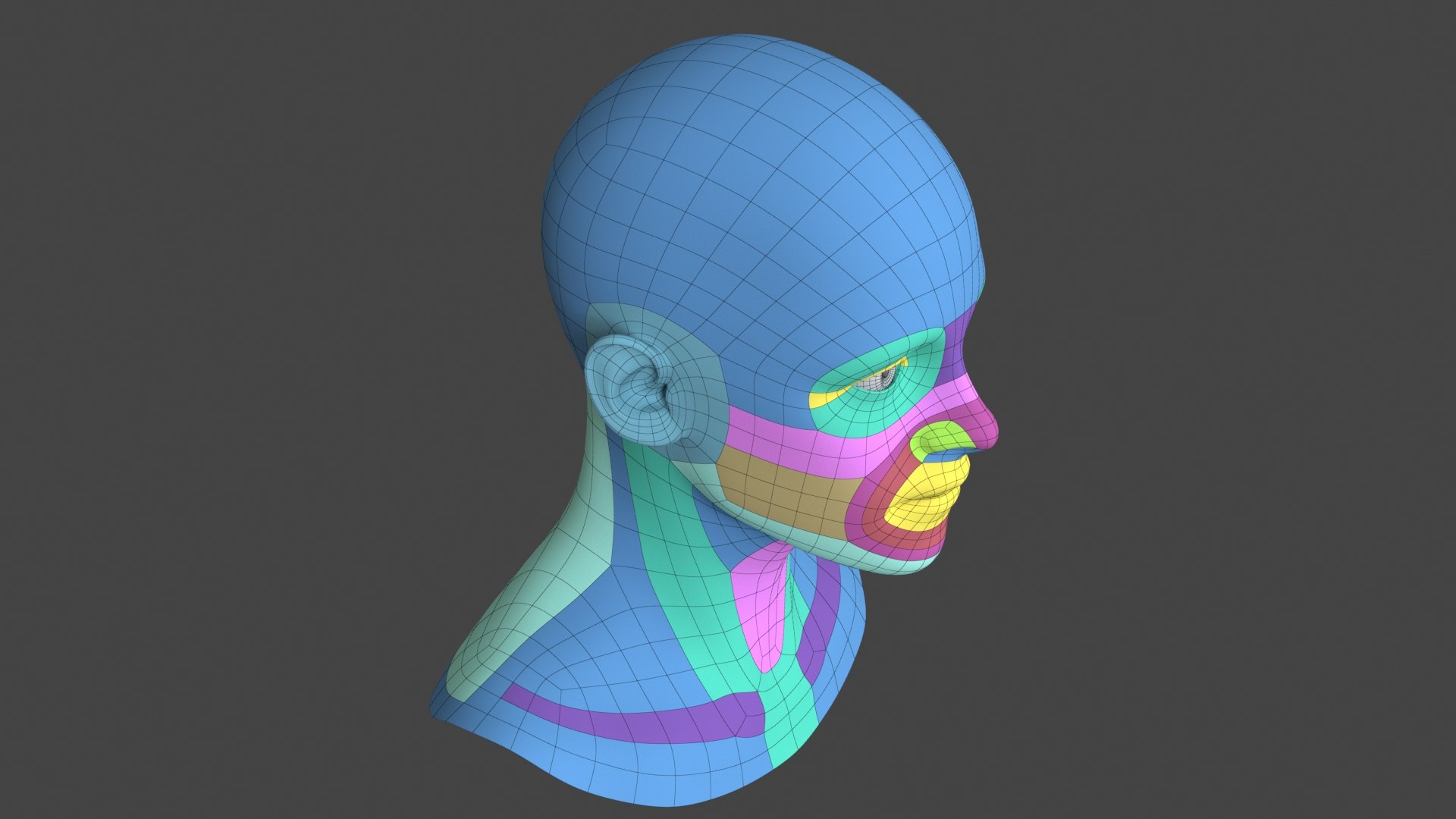3D Model Head Human Base Mesh - TurboSquid 1567561