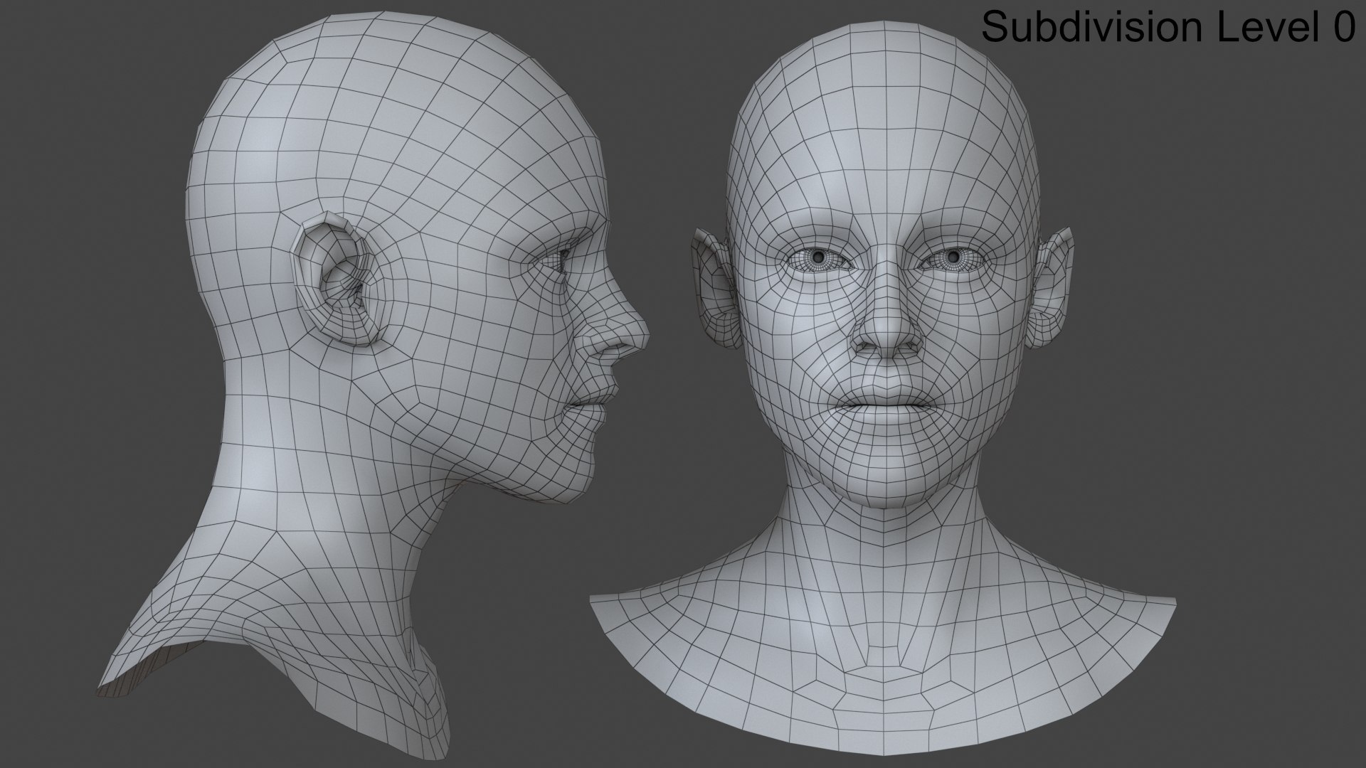 3D Model Head Human Base Mesh - TurboSquid 1567561