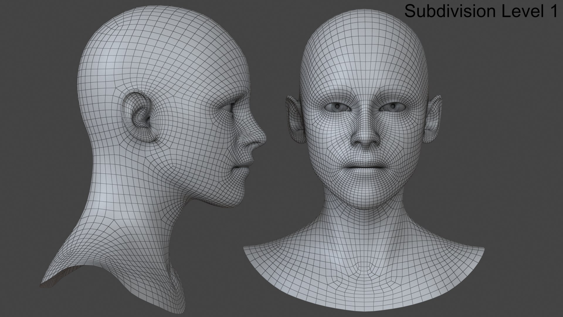 3D Model Head Human Base Mesh - TurboSquid 1567561