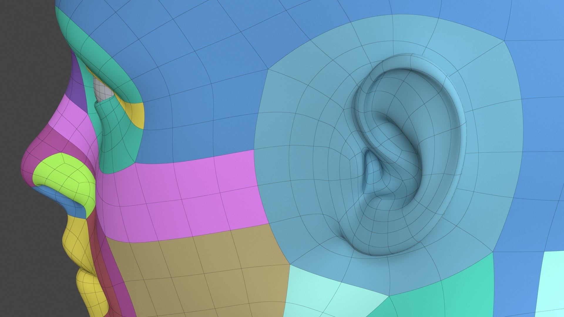 3D Model Head Human Base Mesh - TurboSquid 1567561