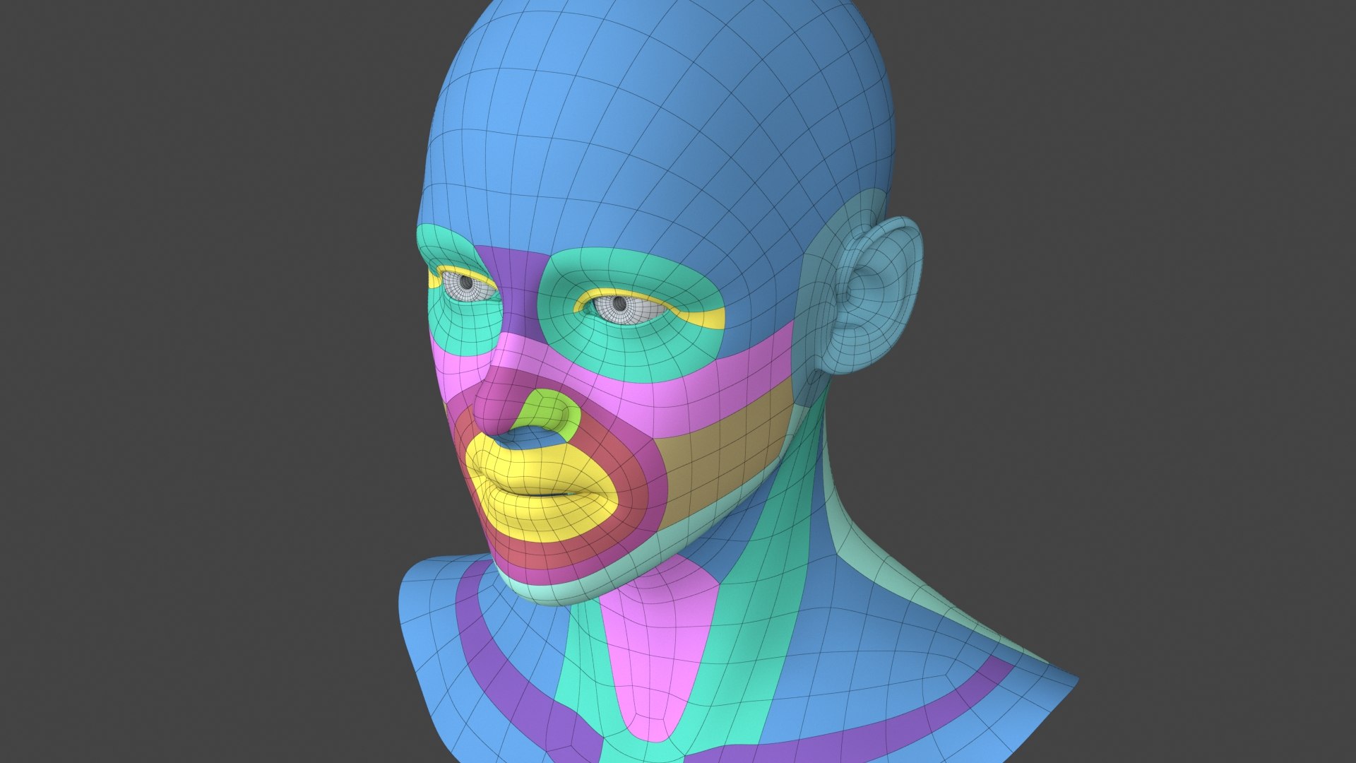 3D Model Head Human Base Mesh - TurboSquid 1567561