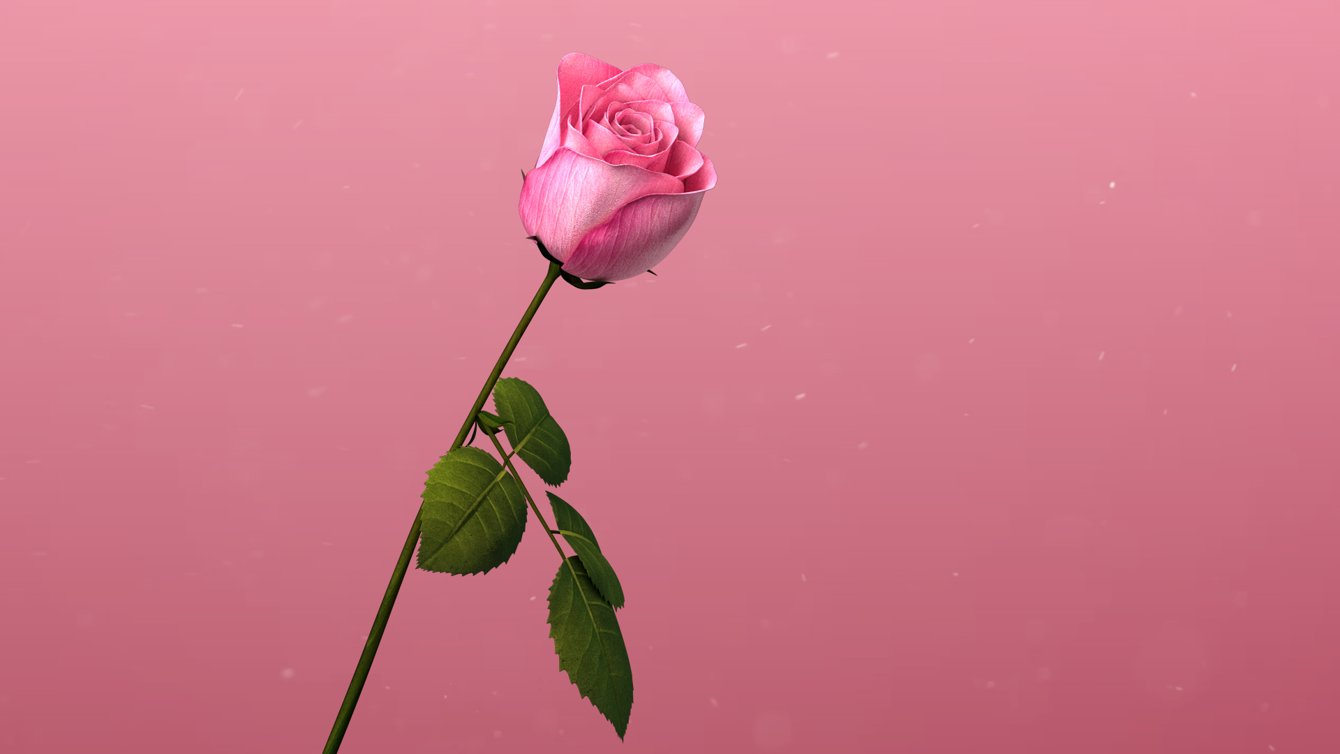 Rose blooming animation 3D - TurboSquid 1643622