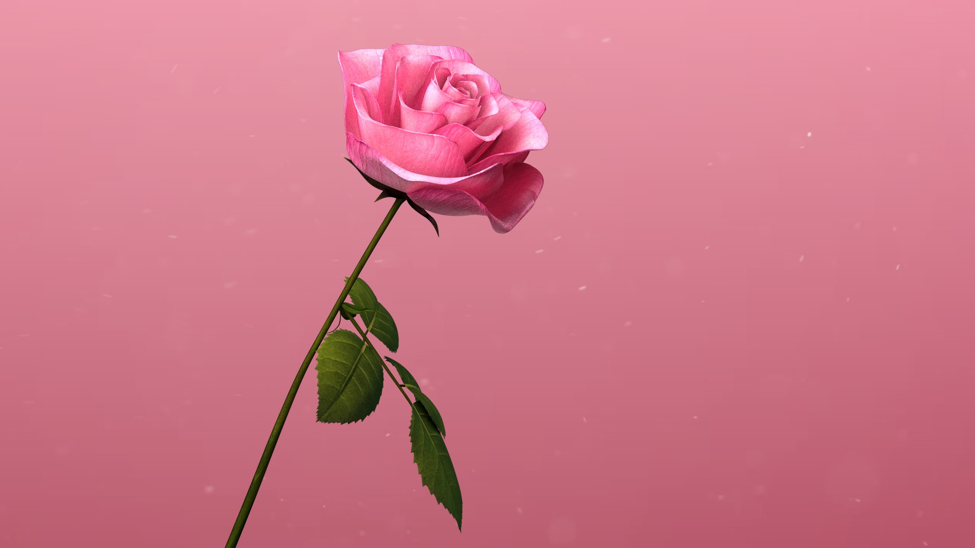 Rose Blooming Animation 3D - TurboSquid 1643622