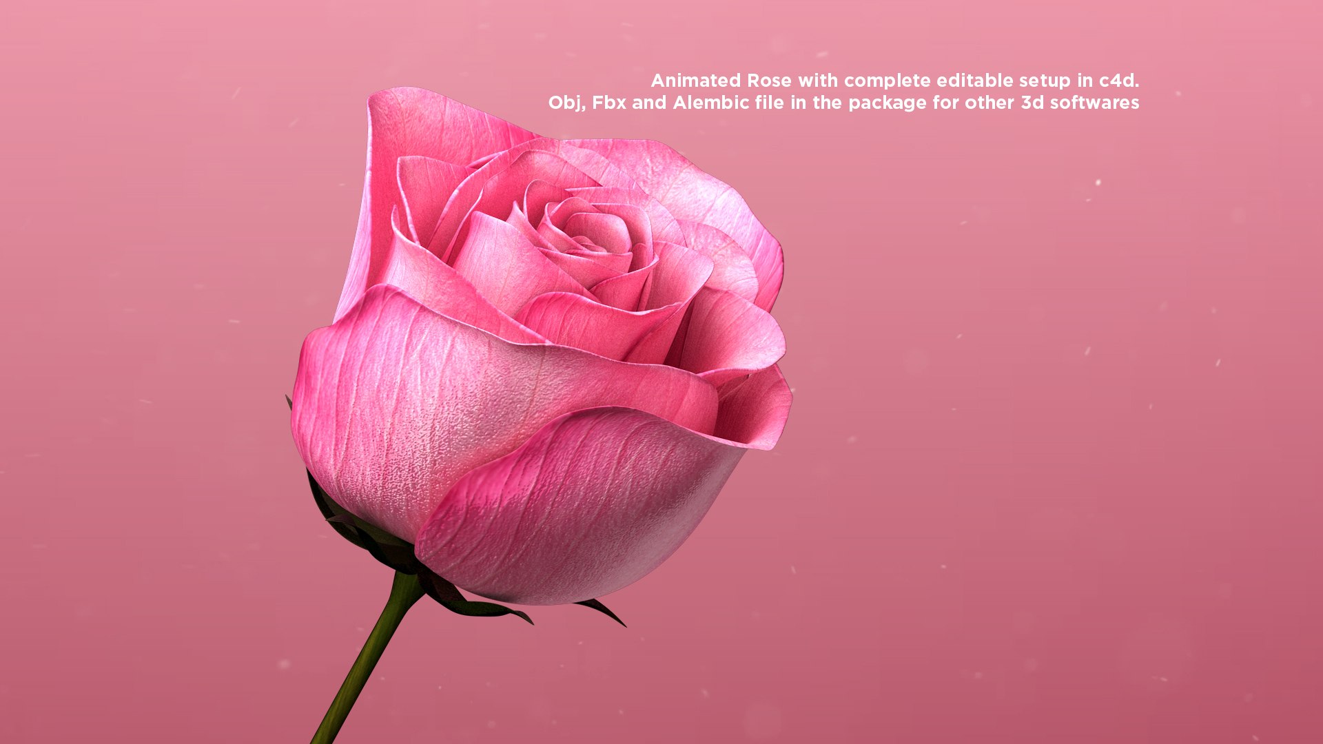 flower animation c4d