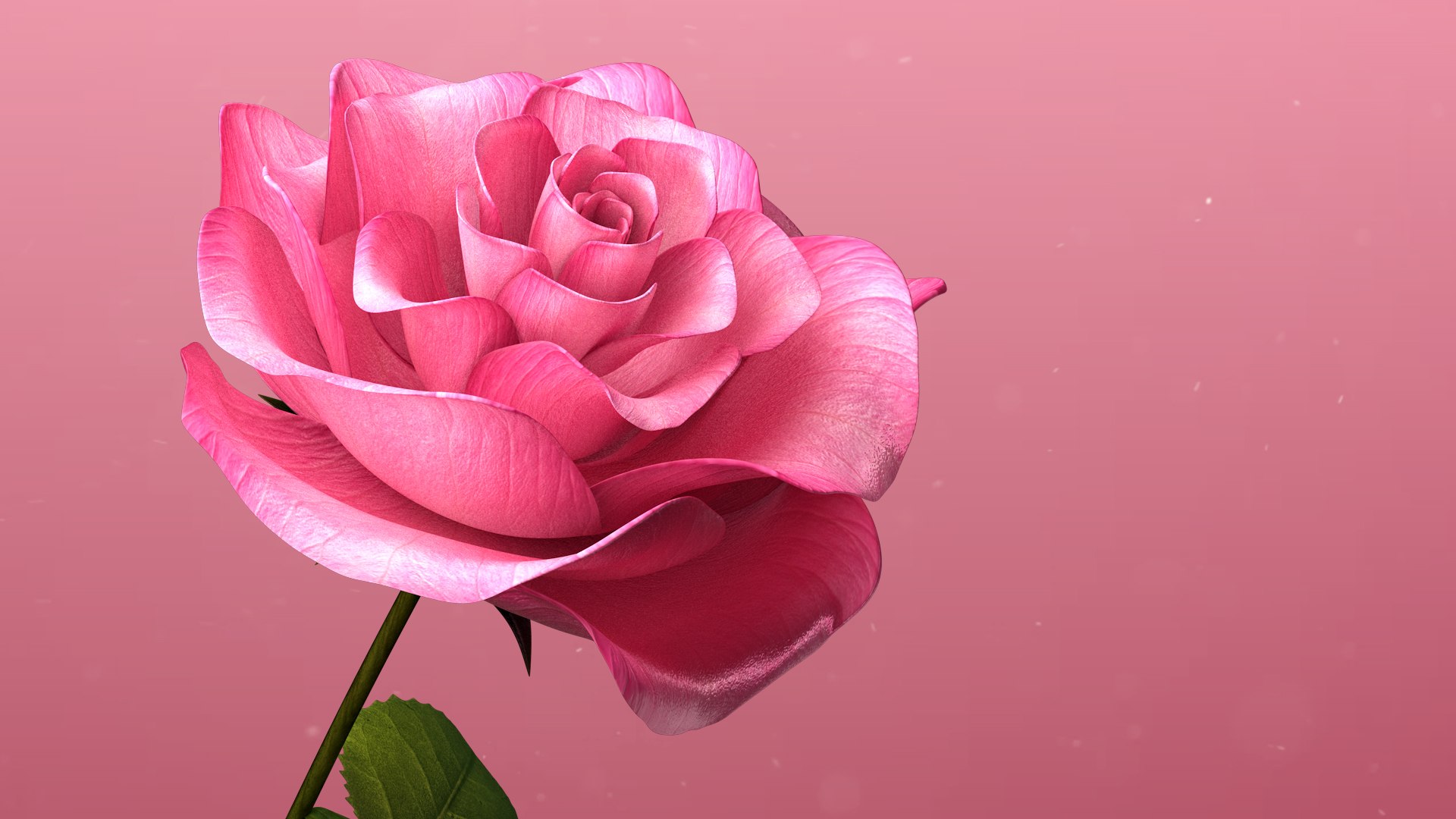 Rose Blooming Animation 3D - TurboSquid 1643622