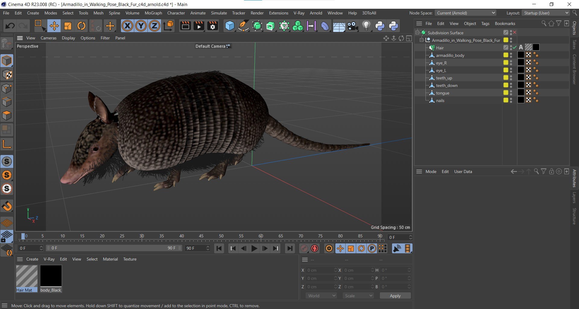 3D Armadillo In Walking Pose Black Fur For Cinema 4D Model - TurboSquid 2391427