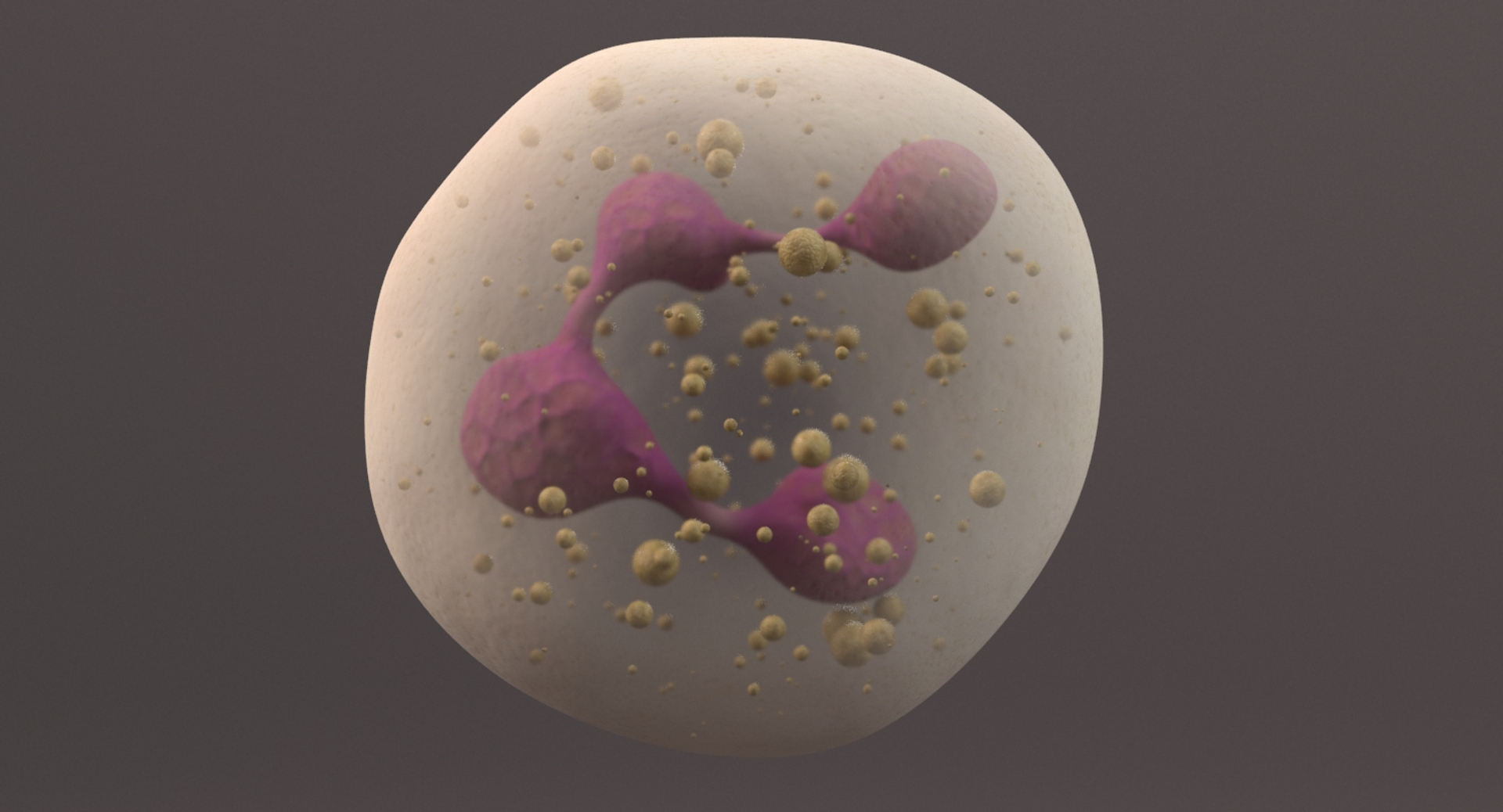 3D white blood cell pack - TurboSquid 1331609