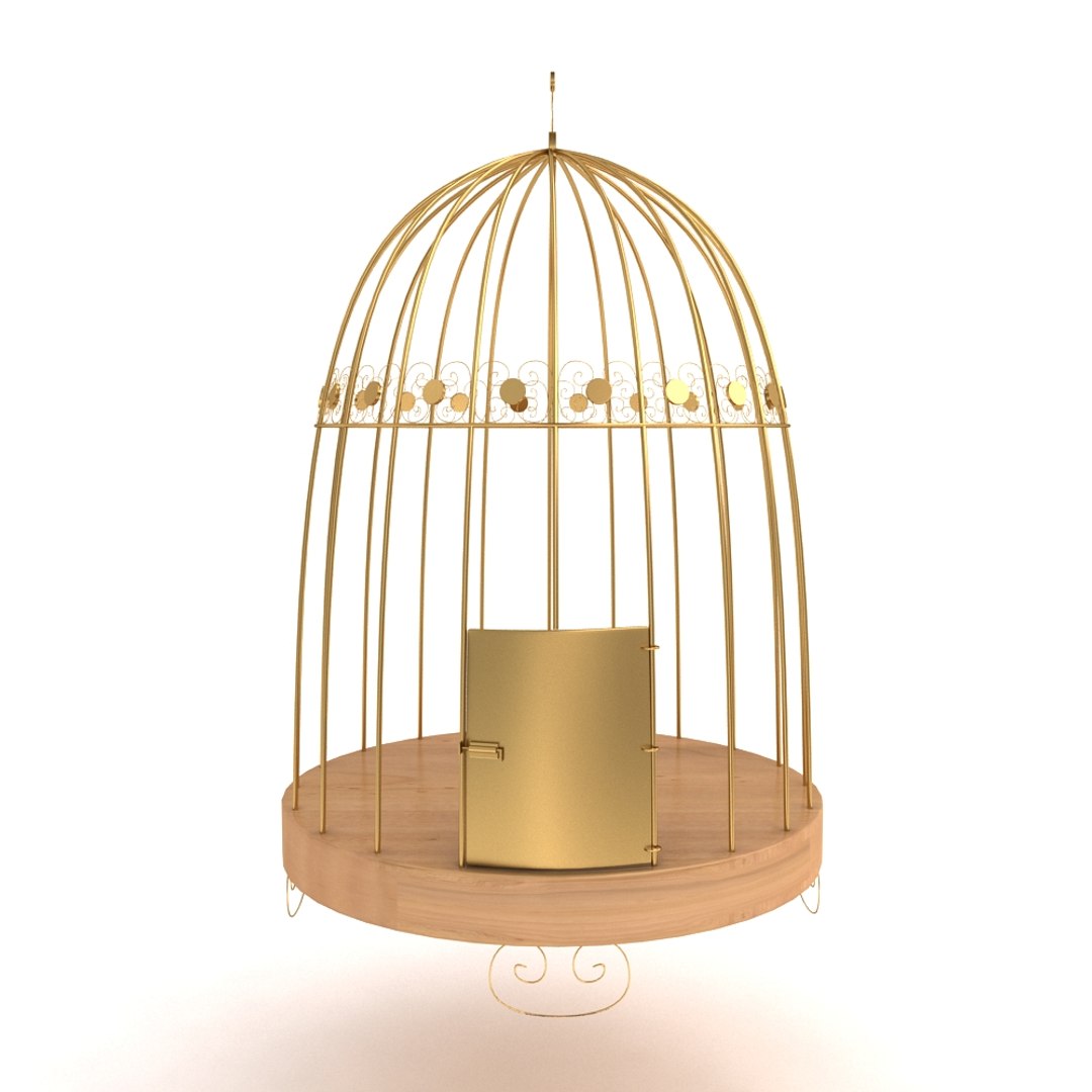 3d birds metal cage model