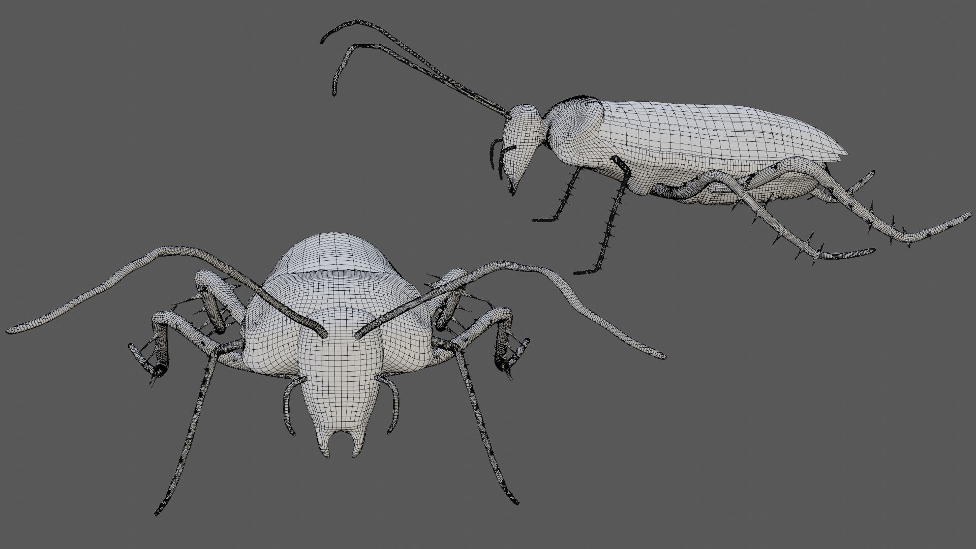 3D Cockroach Model - TurboSquid 1732980