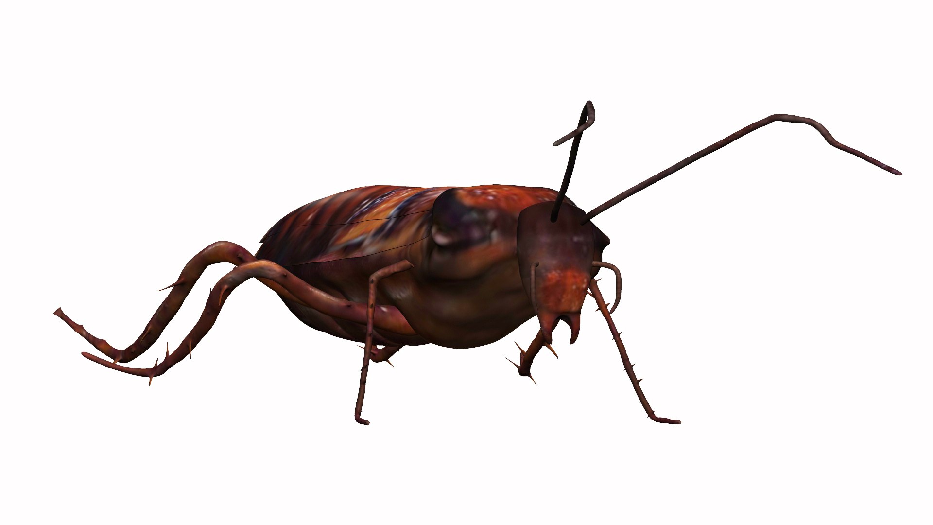 3D Cockroach Model - TurboSquid 1732980