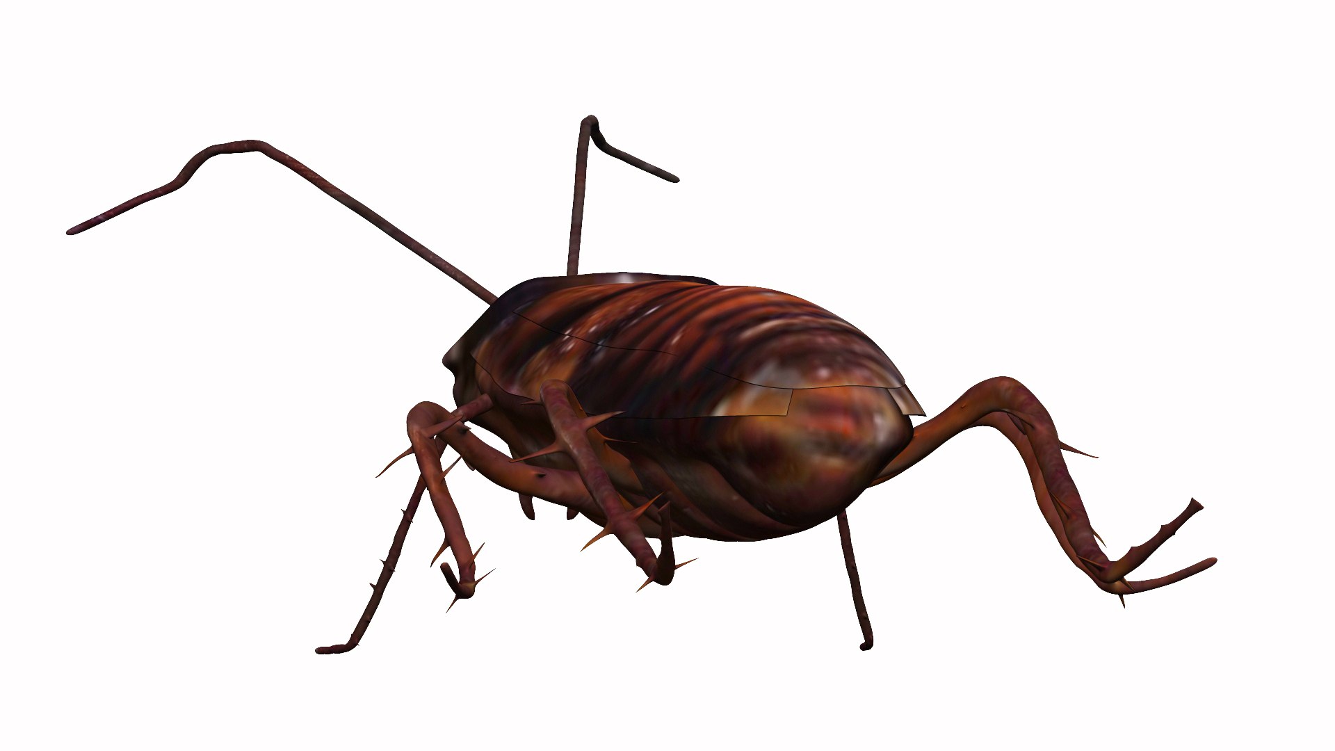 3D Cockroach Model - TurboSquid 1732980