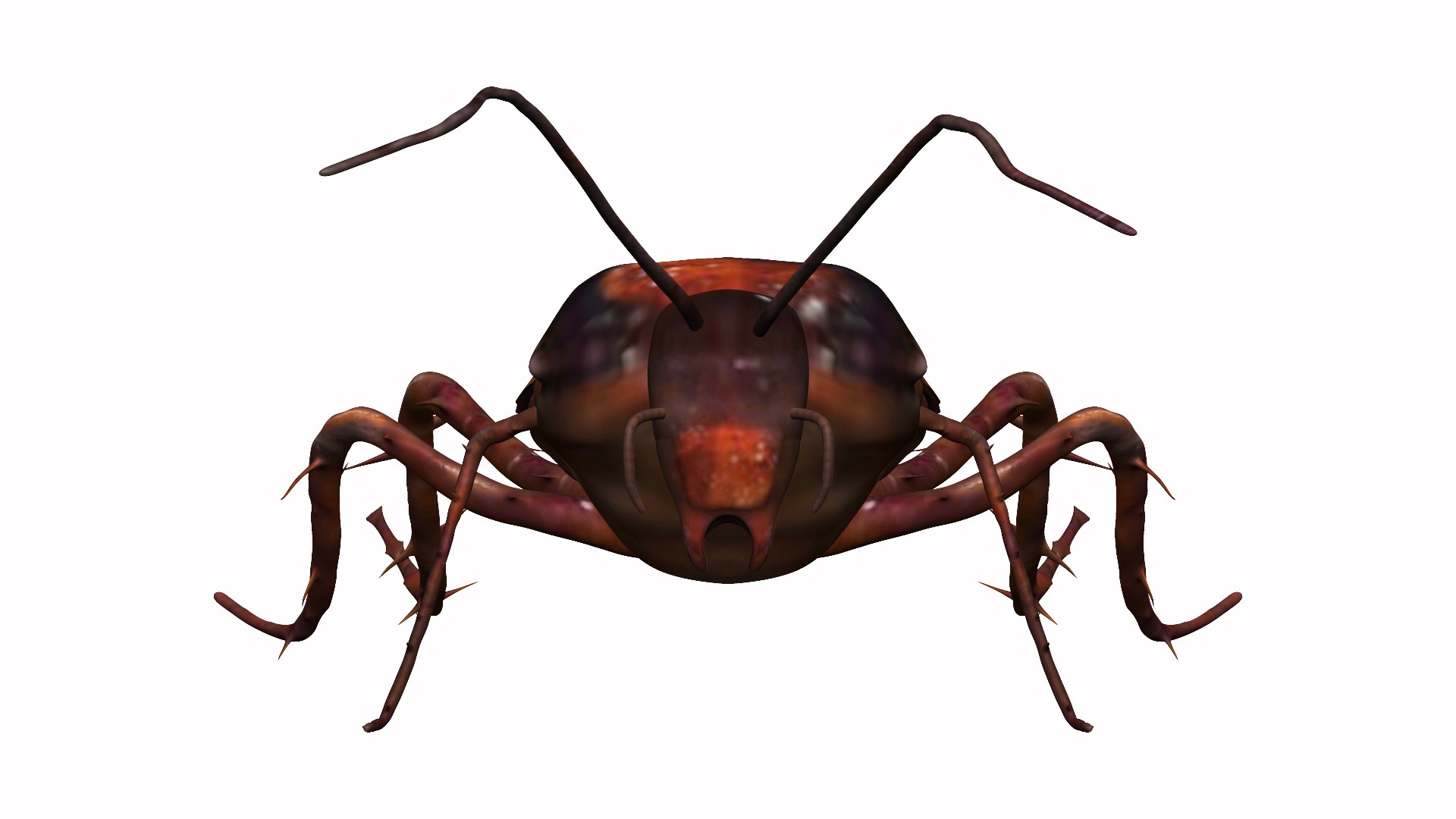 3D Cockroach Model - TurboSquid 1732980