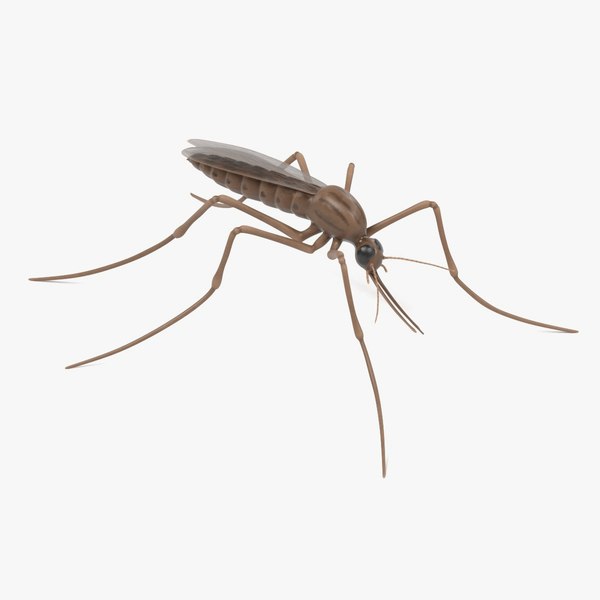 Anopheles gambiae store