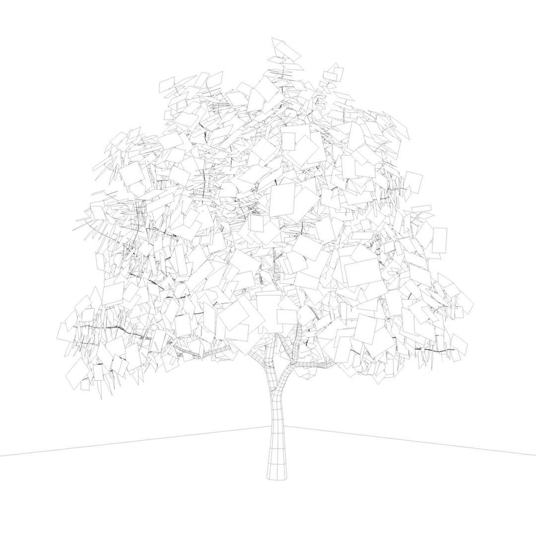 Deciduous Tree Obj