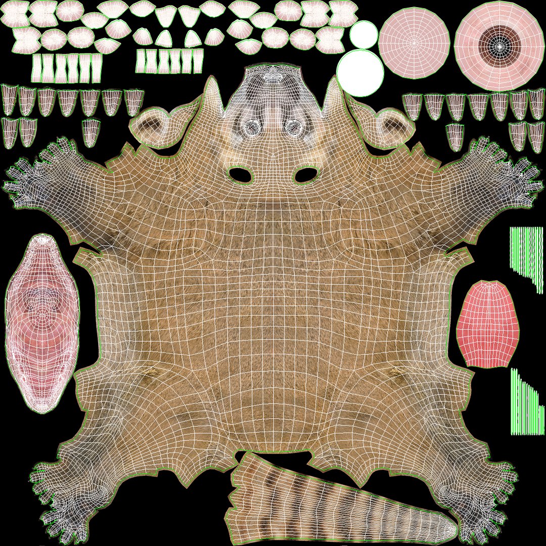 Nasua Mammal Basic Pose Fur 3D Model - TurboSquid 2190542