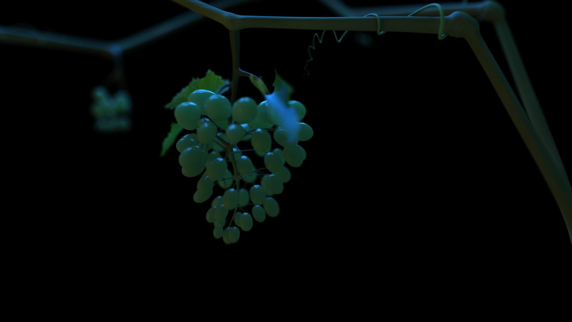 3D Model Grap Grow - TurboSquid 2138837