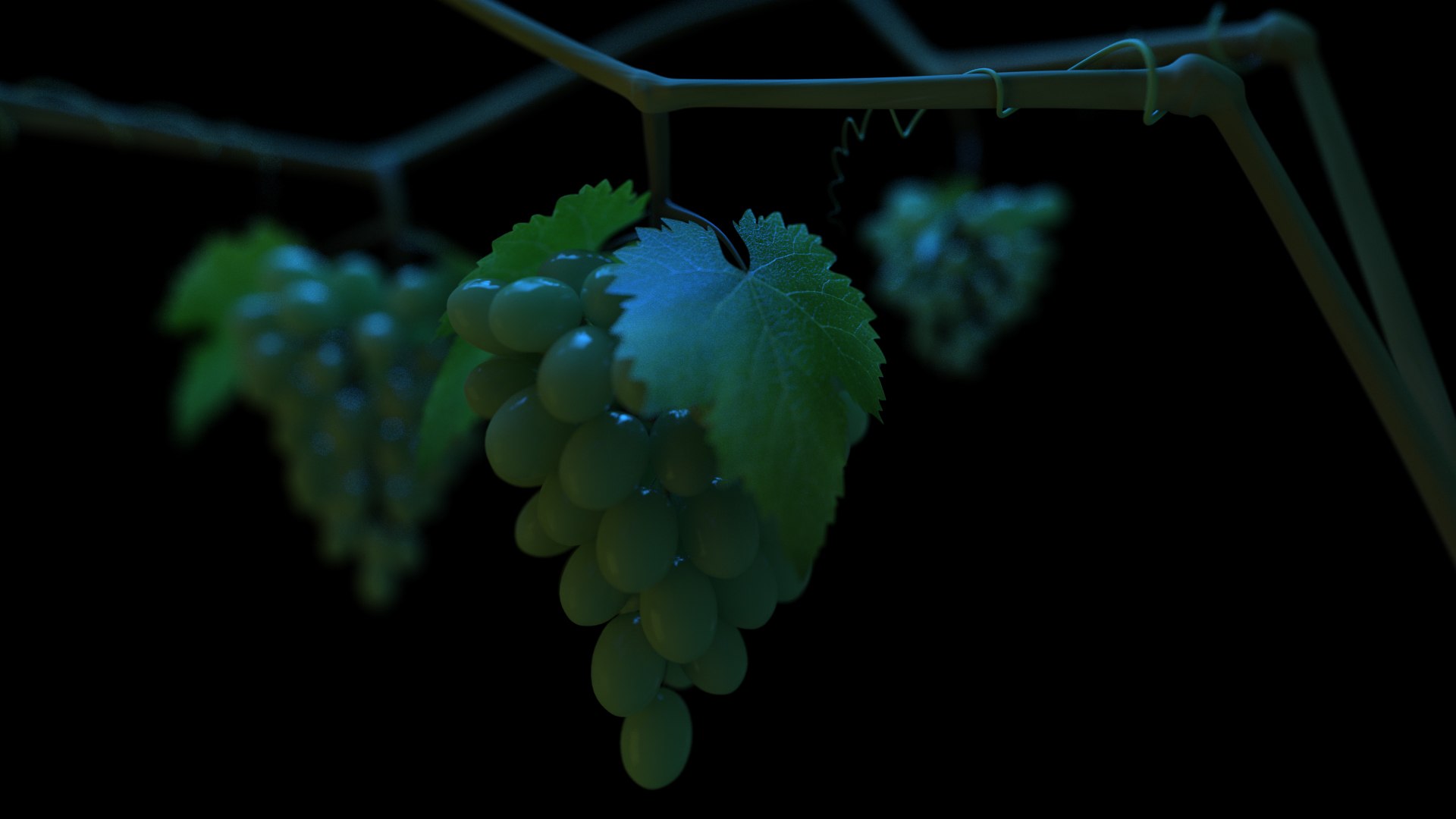 3D Model Grap Grow - TurboSquid 2138837