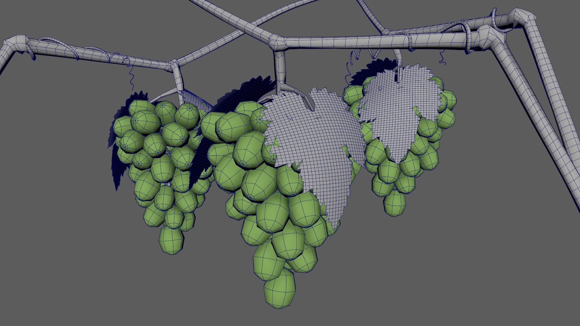 3D Model Grap Grow - TurboSquid 2138837