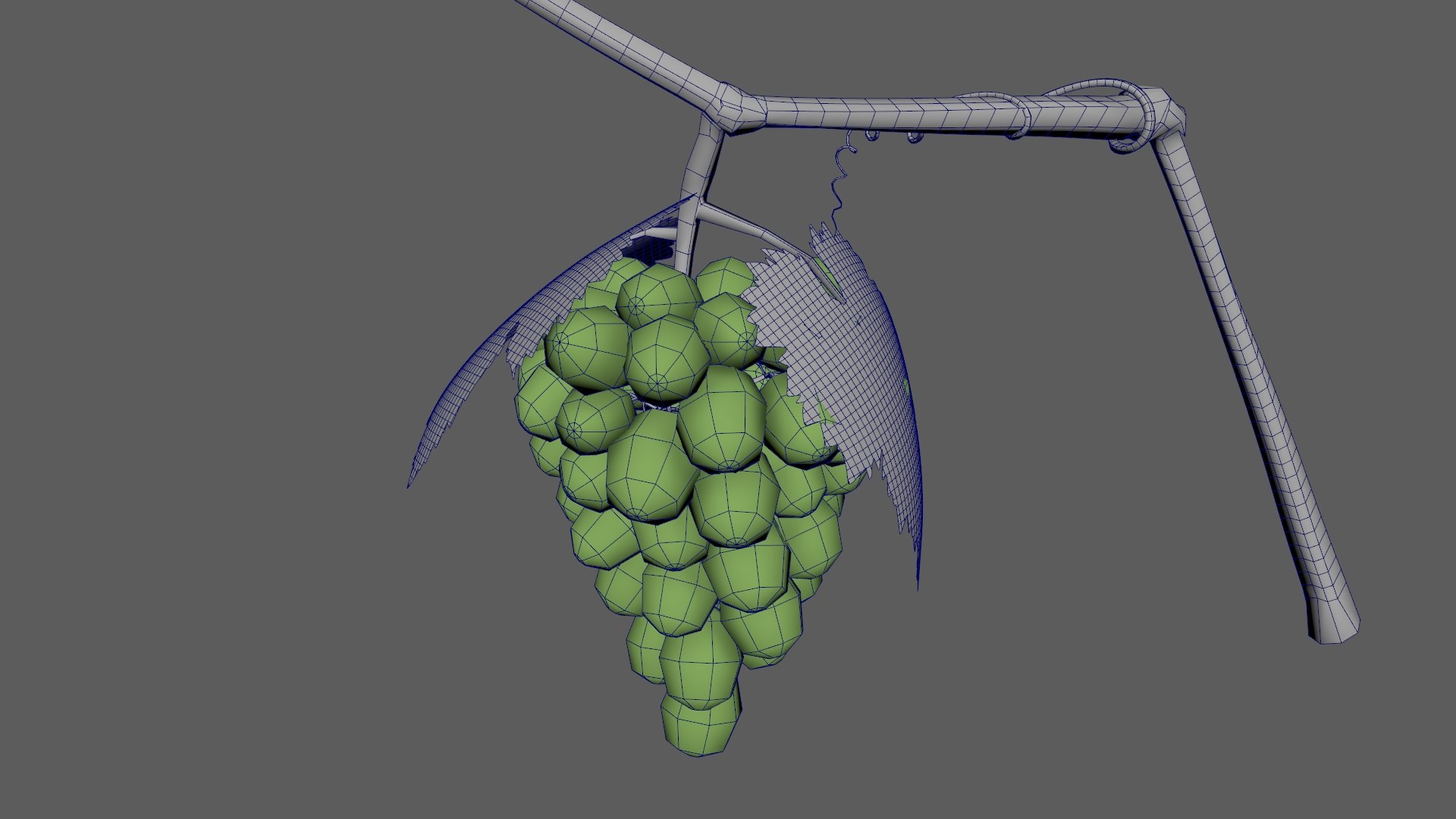 3D Model Grap Grow - TurboSquid 2138837