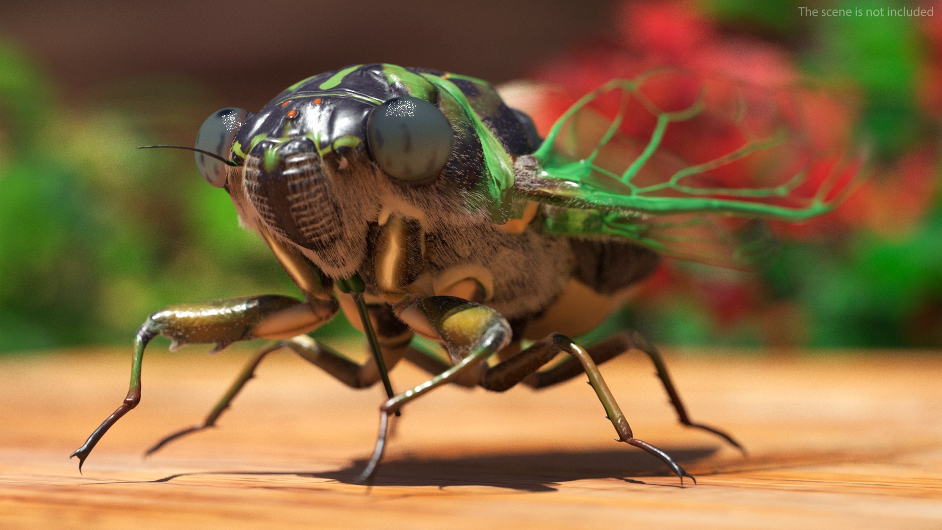 3D Cicada Pose Calm Fur - TurboSquid 2051728
