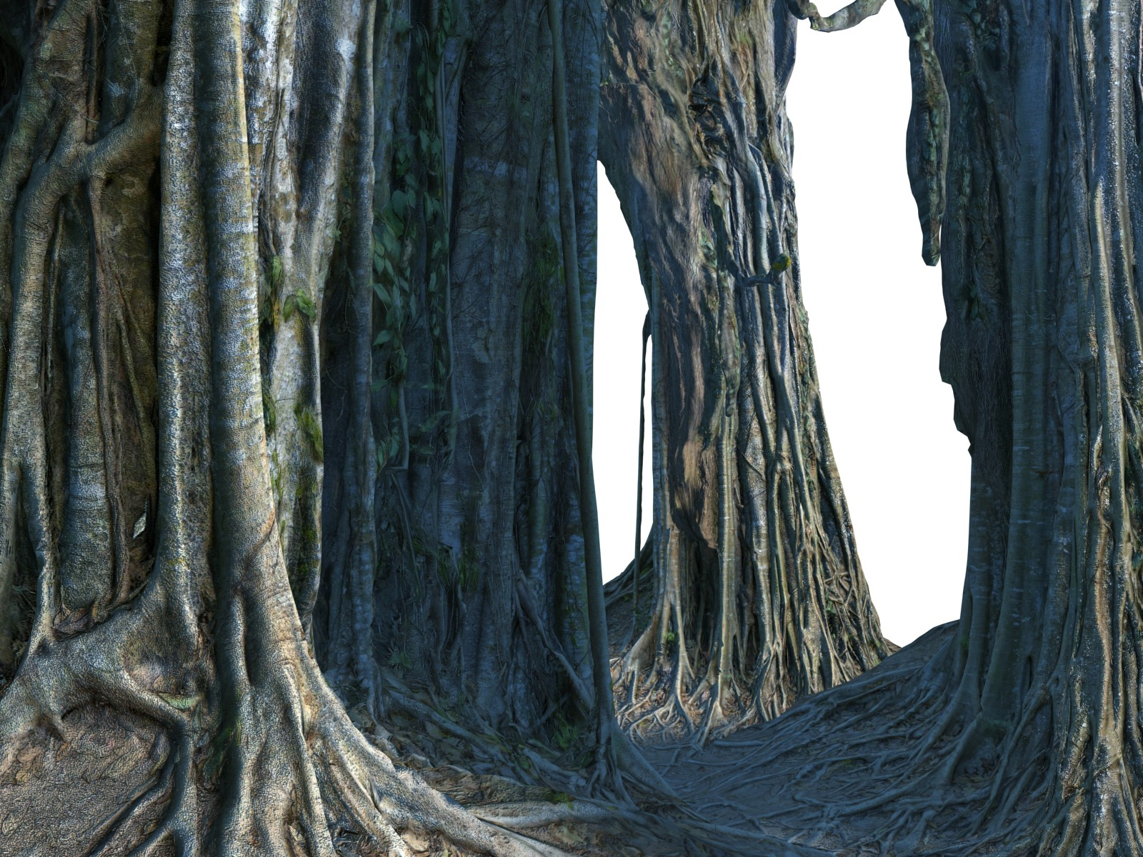 3d jungle tree 16k model