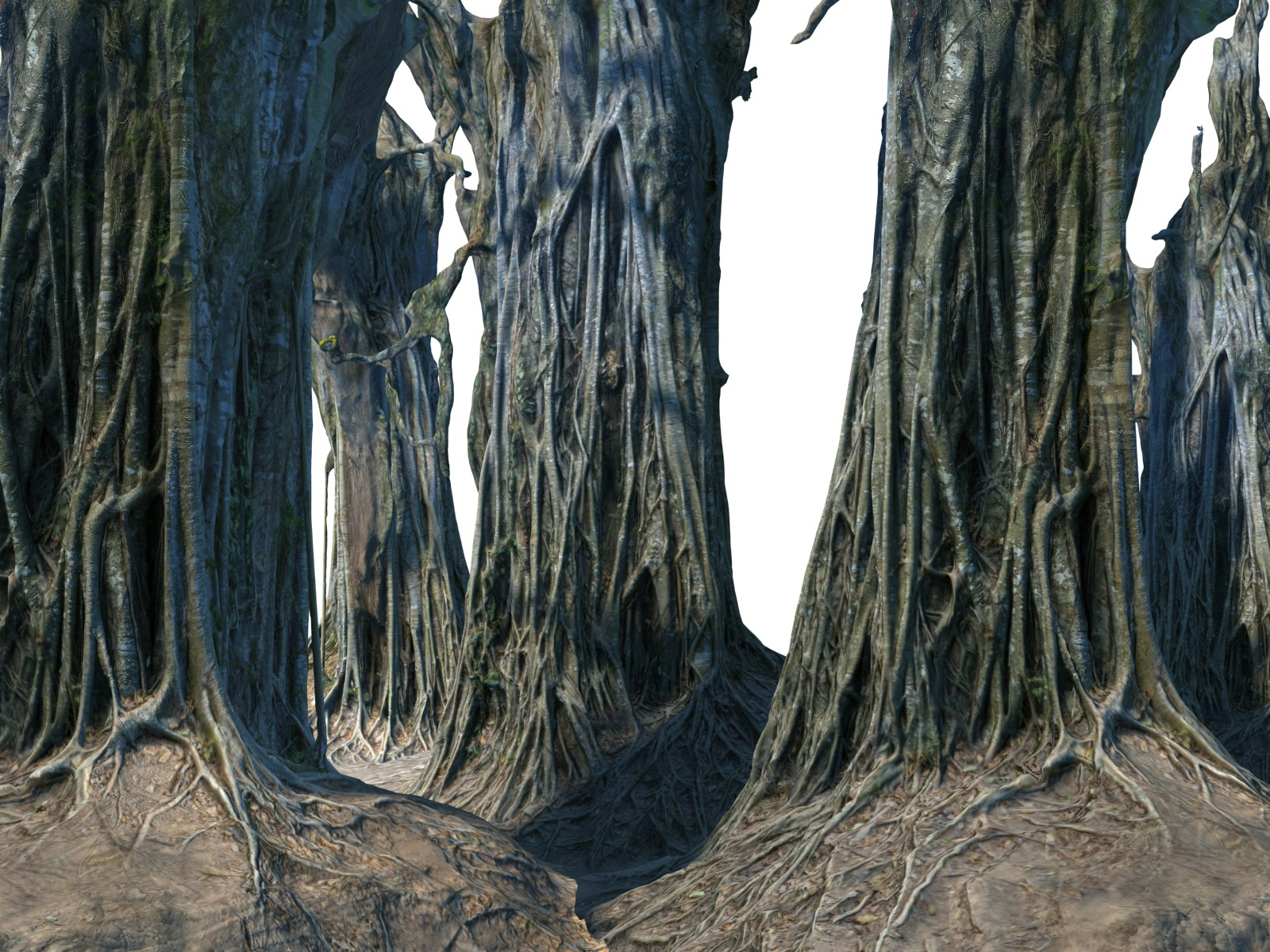 3d jungle tree 16k model