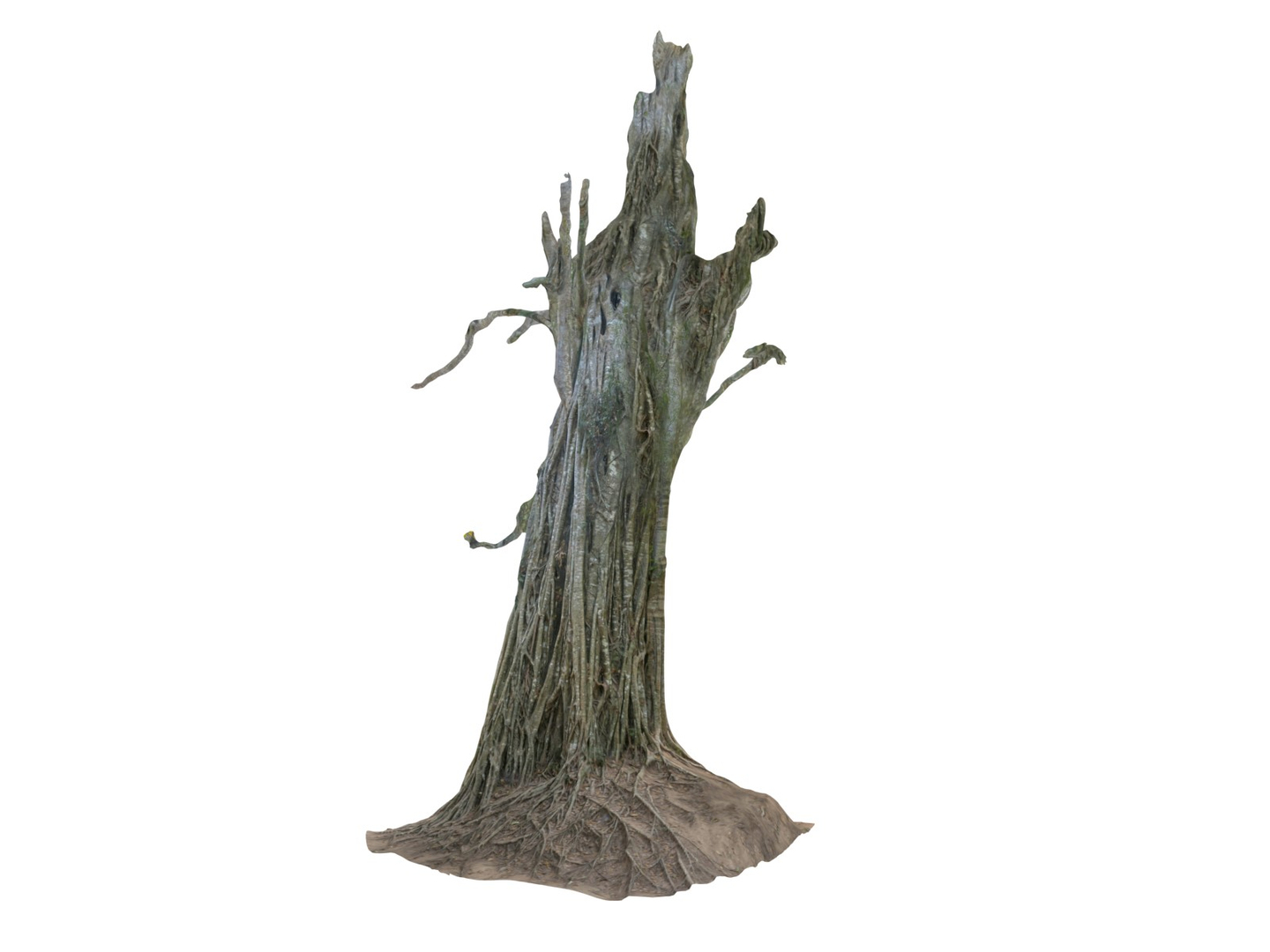 3d jungle tree 16k model