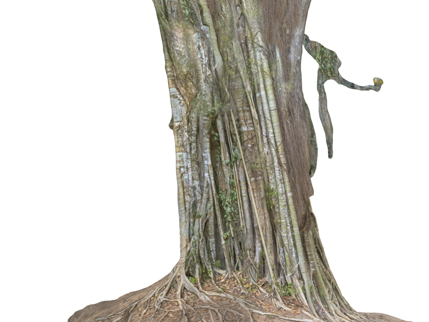 3d Jungle Tree 16k Model