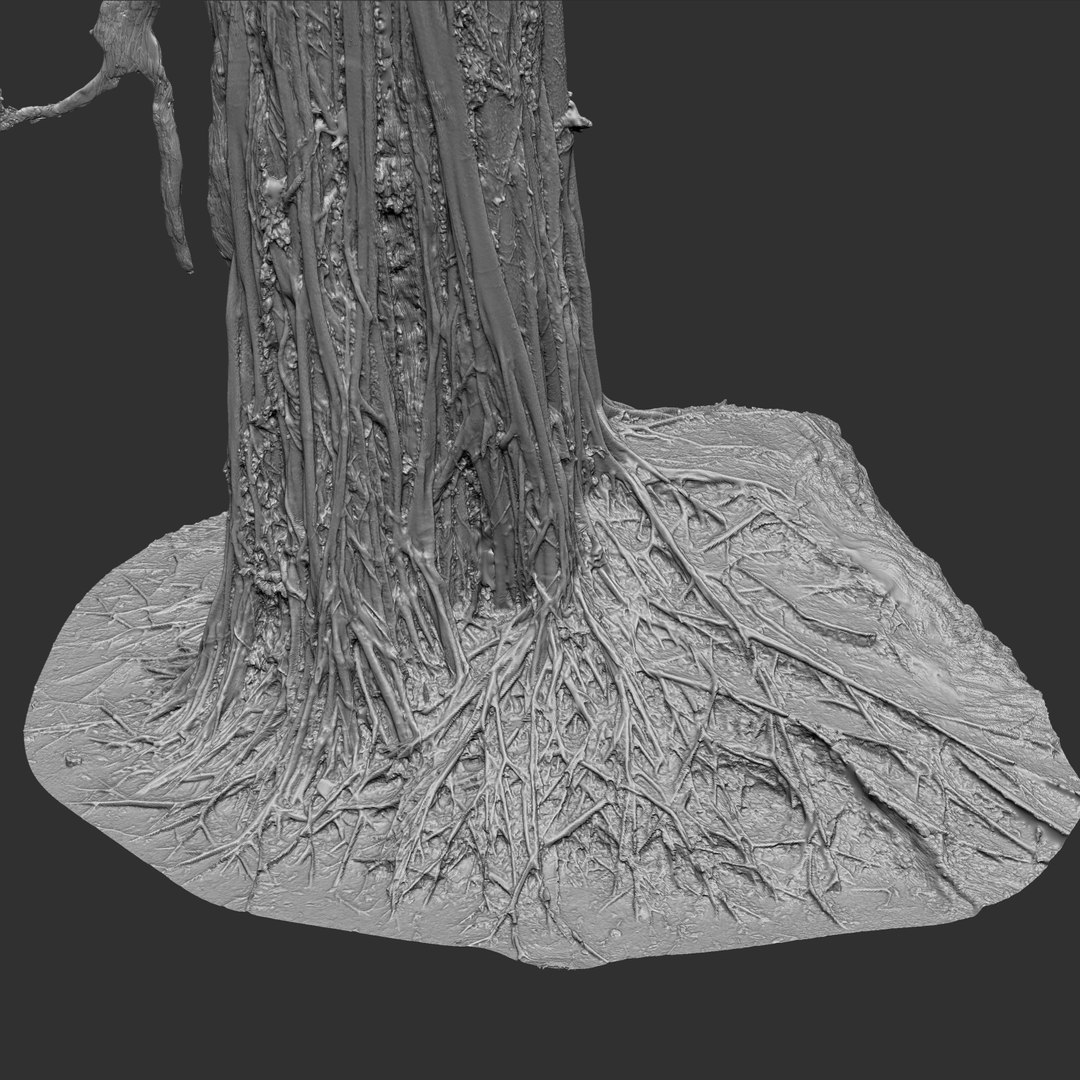 3d Jungle Tree 16k Model