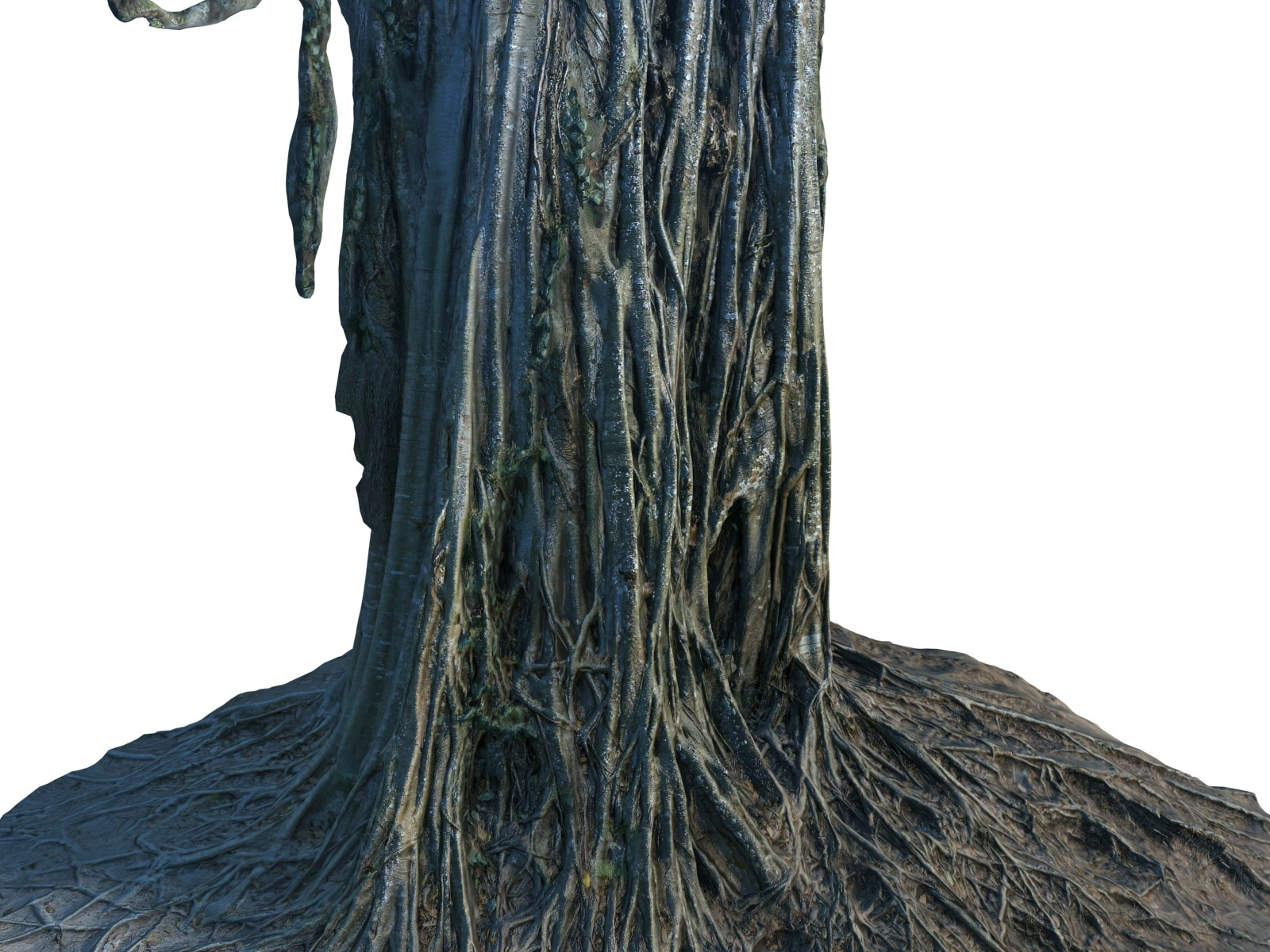 3d jungle tree 16k model