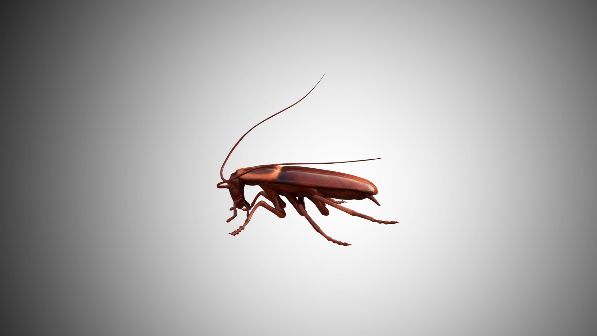 Cockroach Rigged 3D Model - TurboSquid 1590617