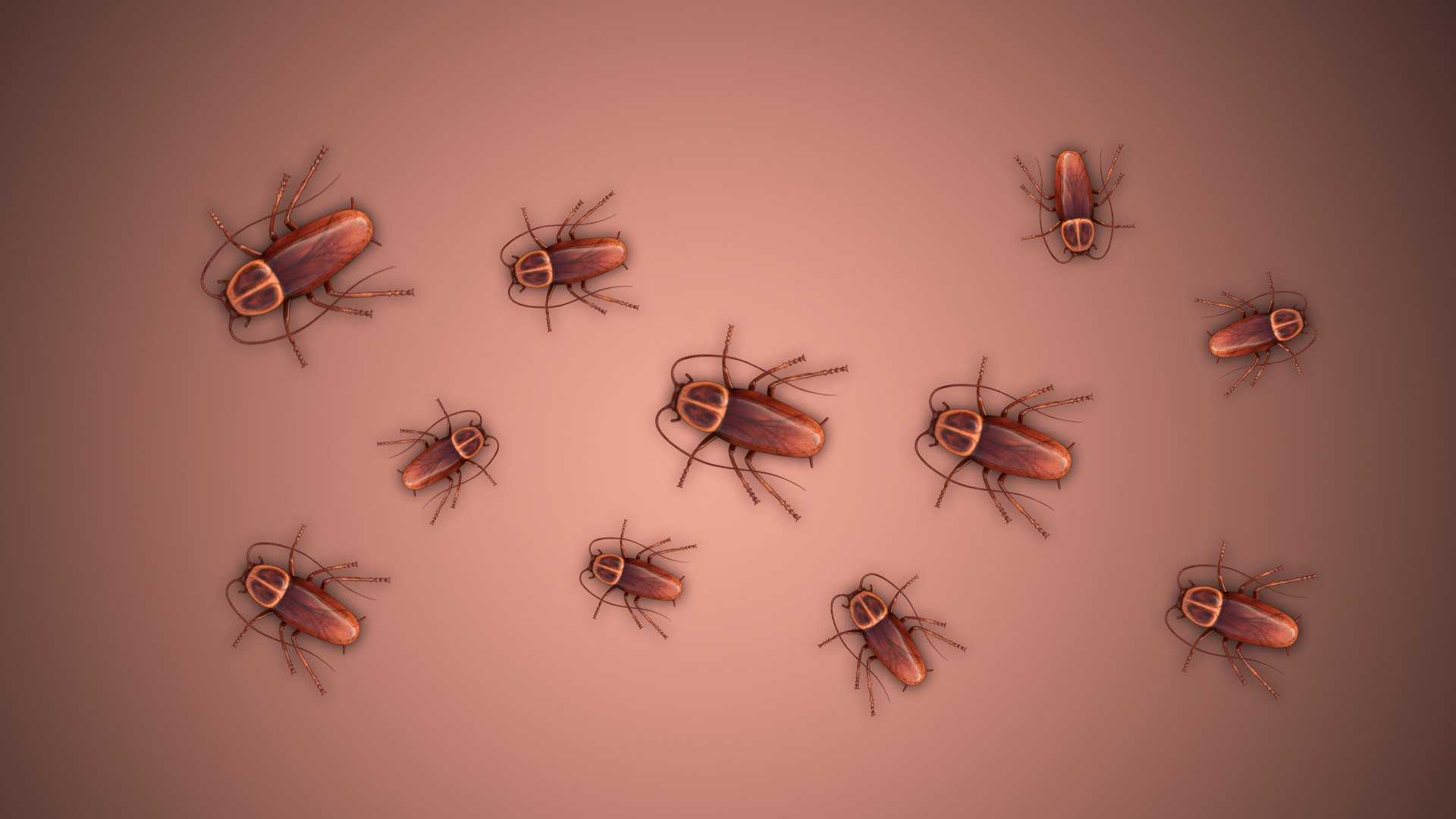 Cockroach Rigged 3D Model - TurboSquid 1590617