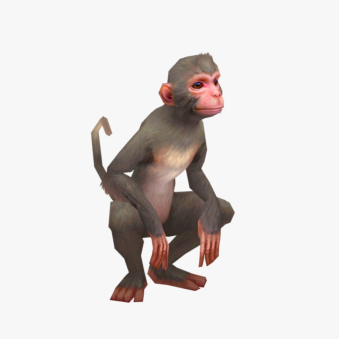 Animated Monkey 3D - TurboSquid 2207952