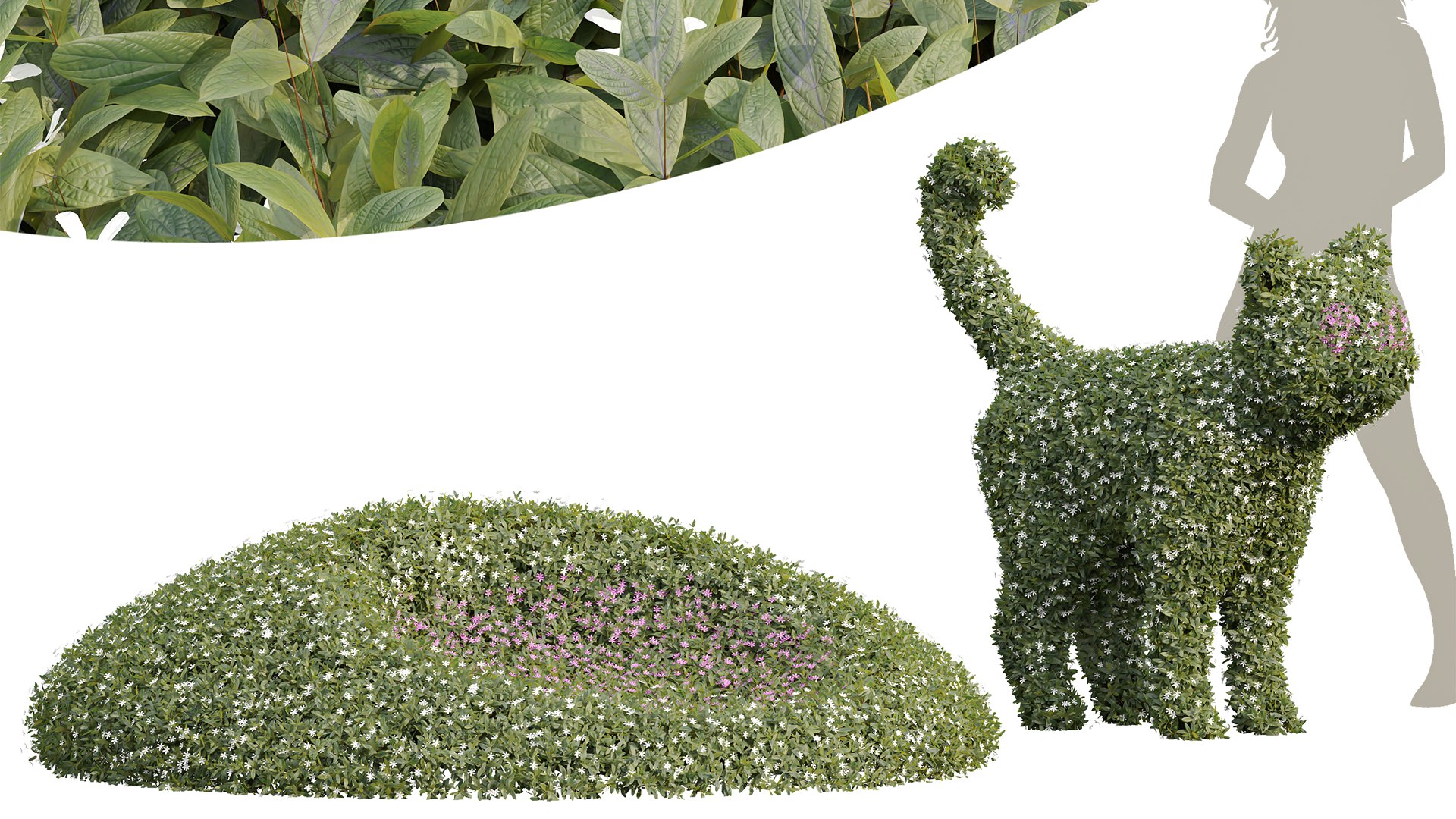 9Different SETS Of Plant Bush Set Vol 30 3D Model - TurboSquid 2205099